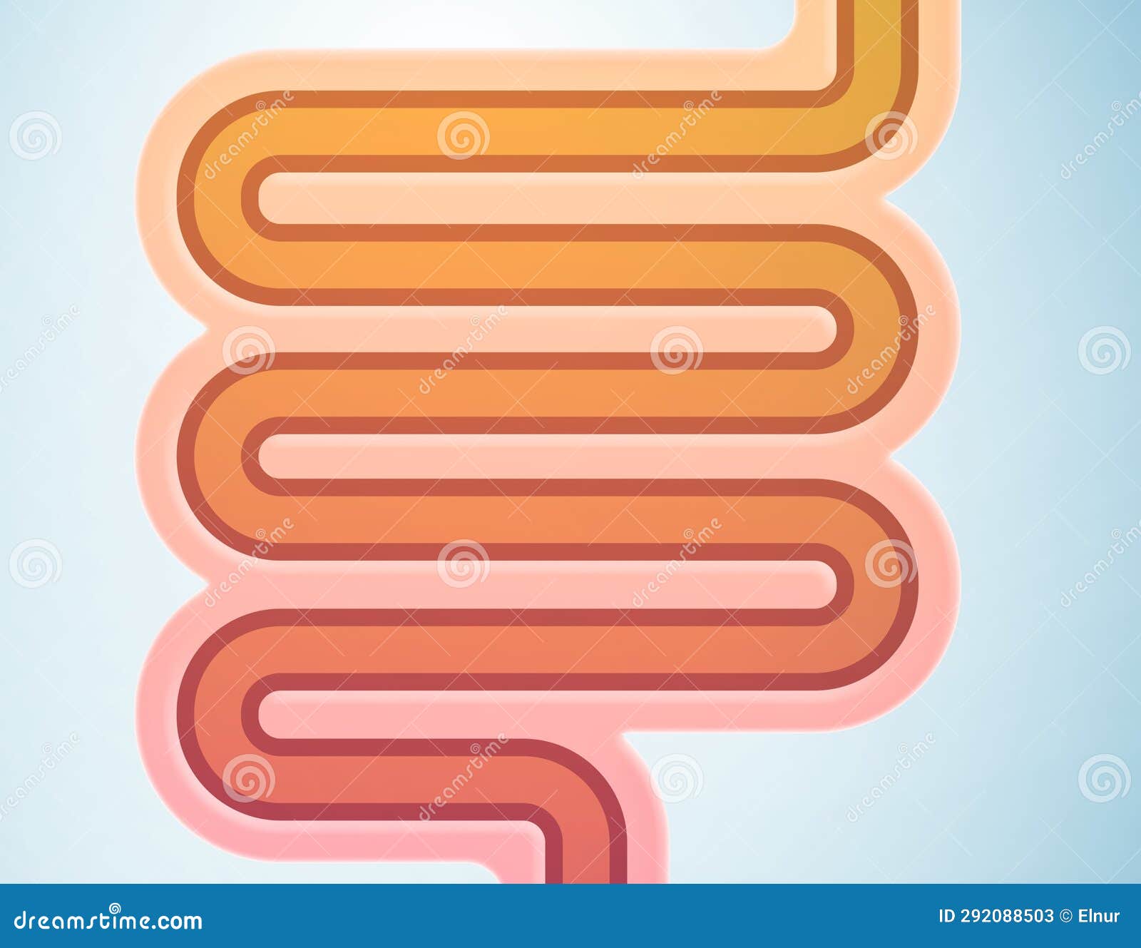 Schematic Illustration of Human Intestines Stock Illustration ... Schematic Illustration of Human Intestines Stock Illustration ...