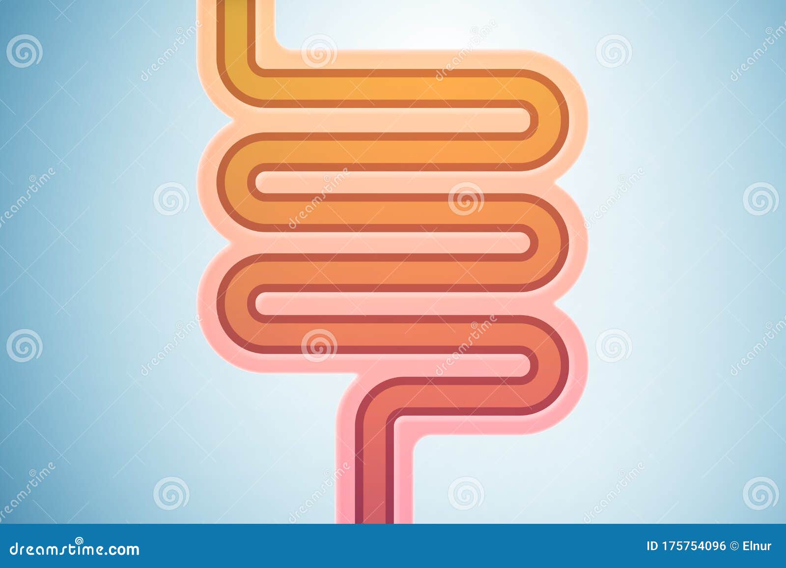Illustration Of Intestines In A Vintage Book Hygiene Course, S ...