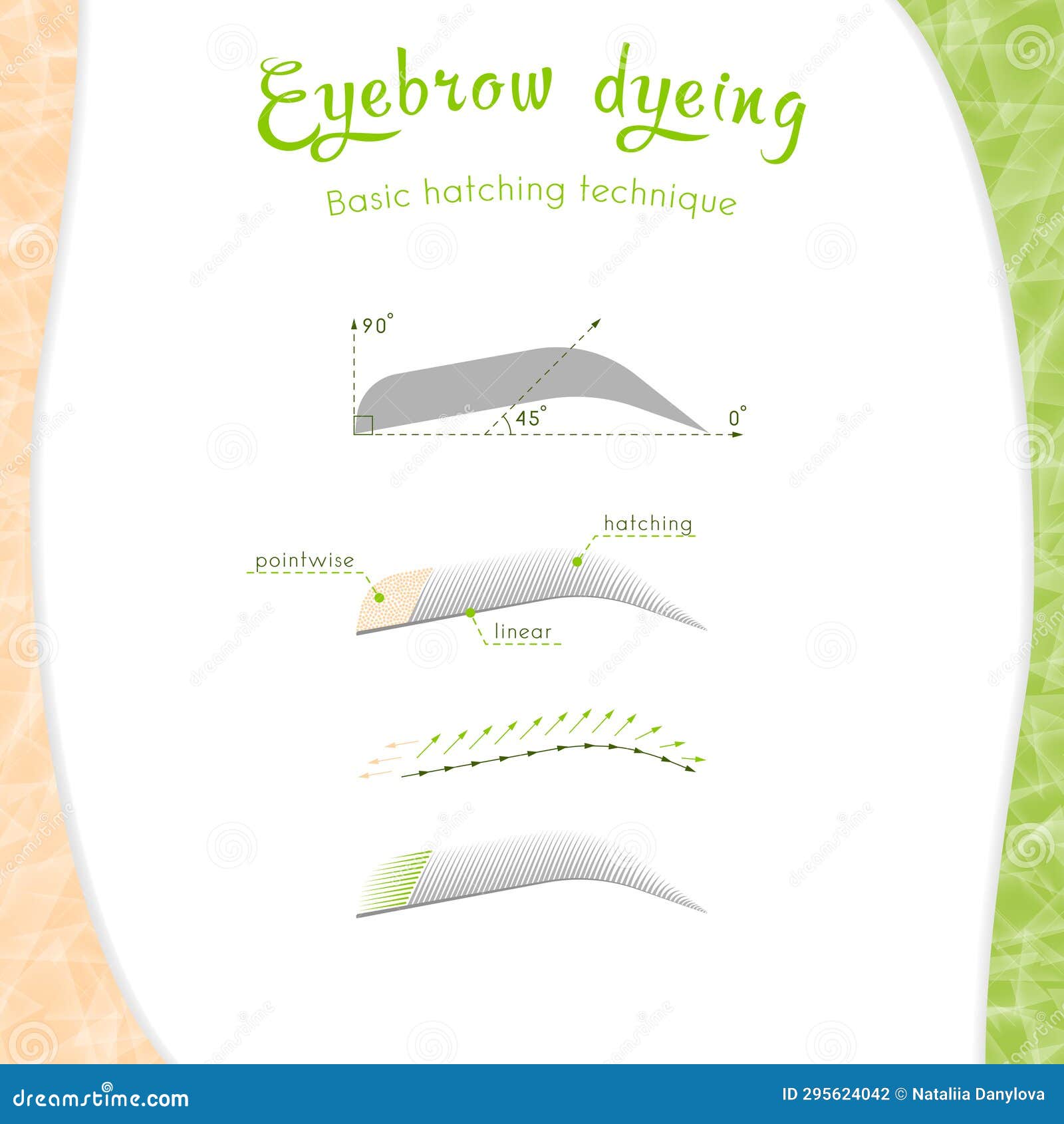 Basic Eyebrow Coloring Technique Stock Illustration - Illustration of ...