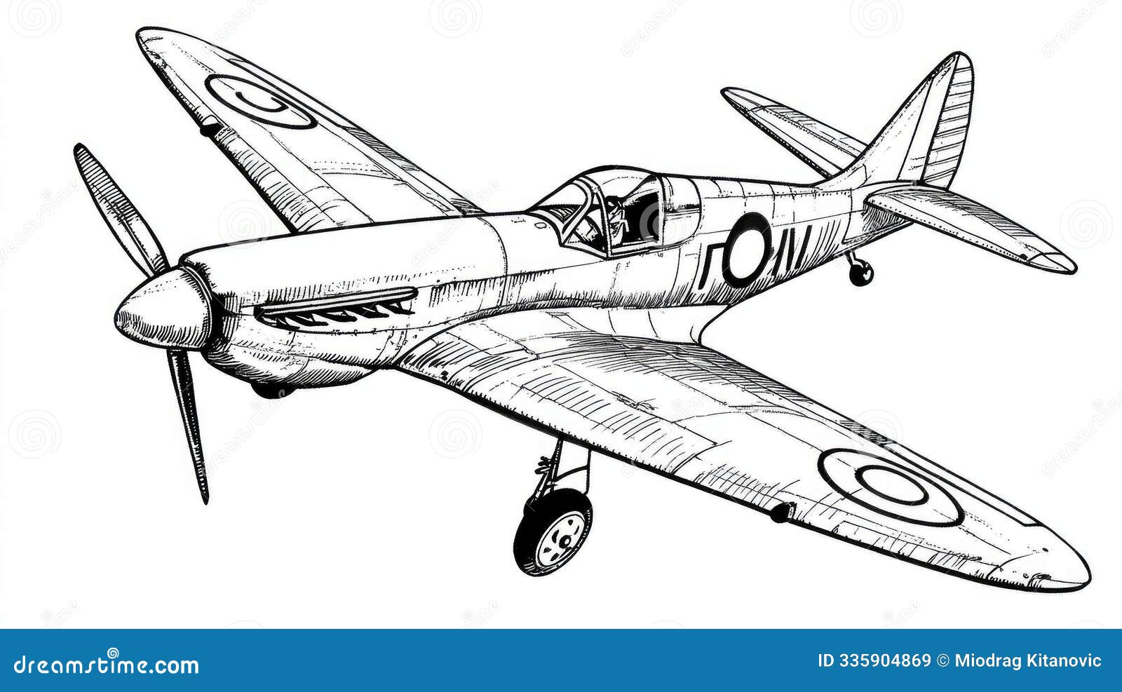 Schematic of a Spitfire Fighter Aircraft Showcasing Detailed ...