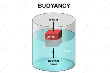 Scheme of Archimedes Buoyancy Principle Stock Illustration ...