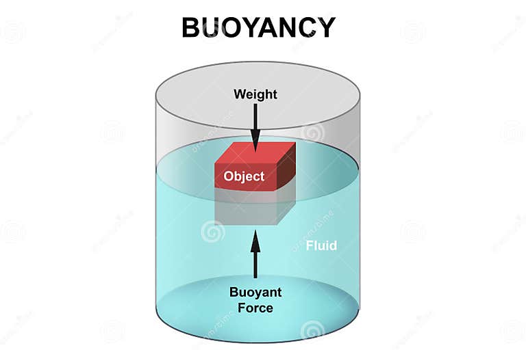Scheme of Archimedes Buoyancy Principle Stock Illustration ...