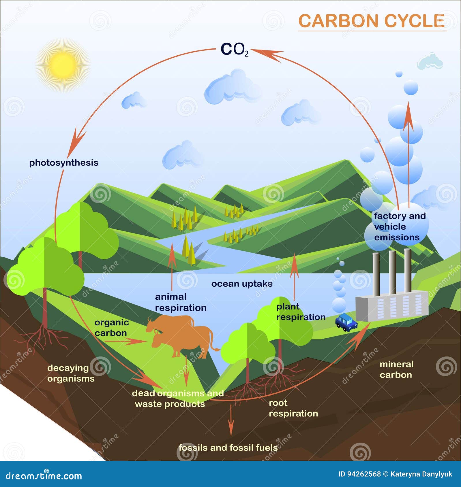 Carbon Cycle Vector Illustration. Labeled CO2 Biogeochemical Process ... Carbon Cycle Vector Illustration. Labeled CO2 Biogeochemical Process ...