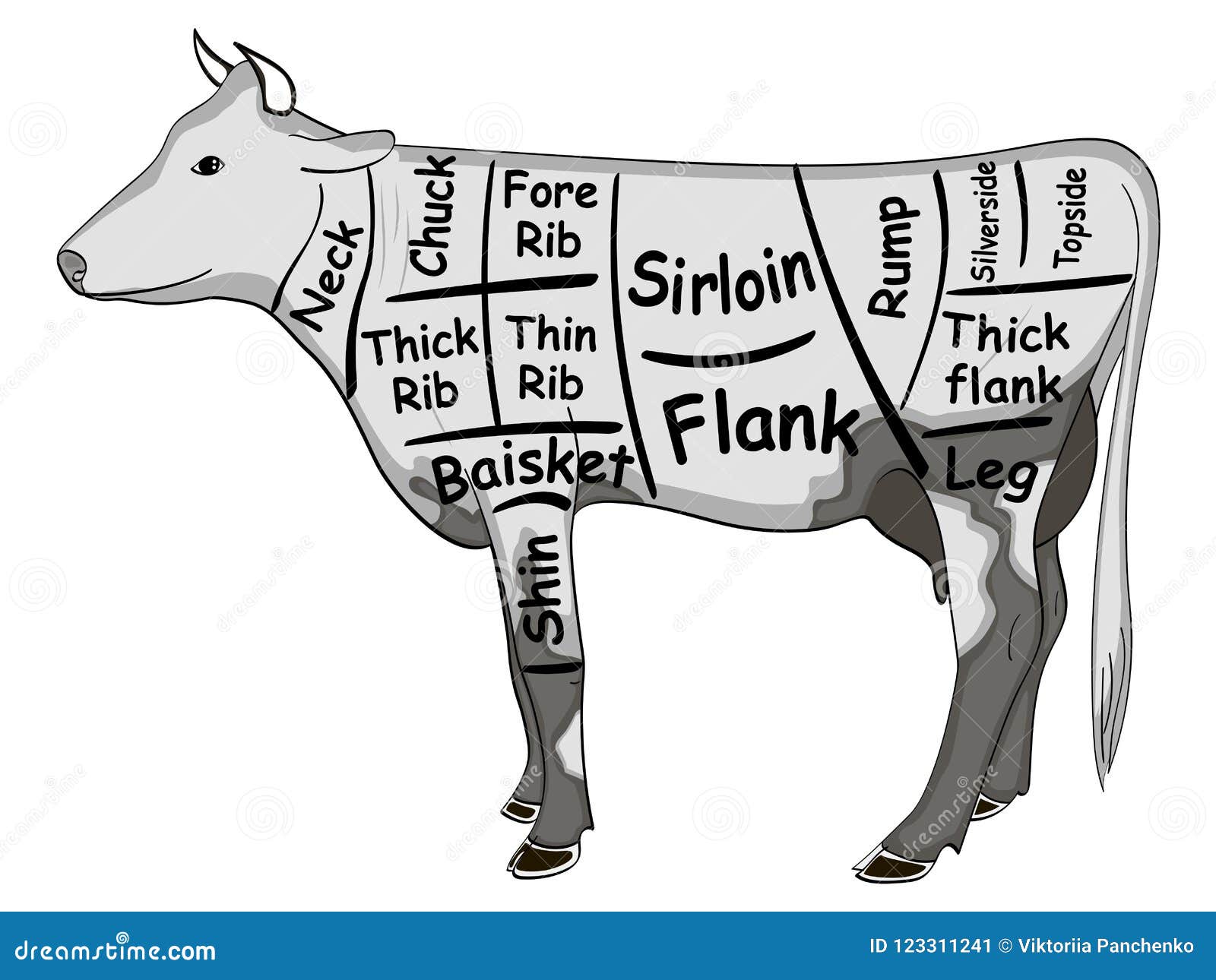 The Scheme of Carcass Cutting. Vector for a Menu in a Butcher Shop or ...