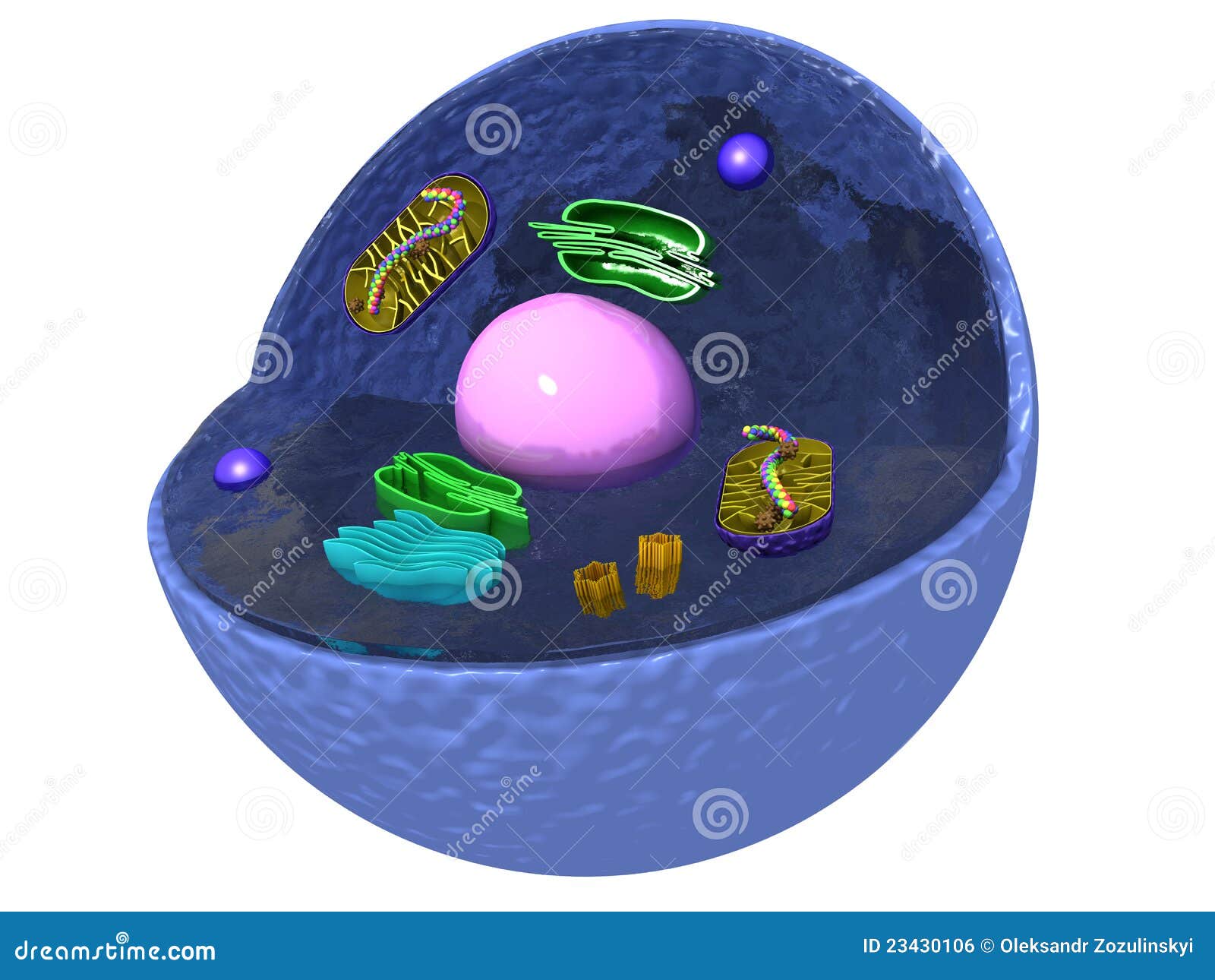 The Scheme of the Cells â„–1 Stock Illustration - Illustration of ...