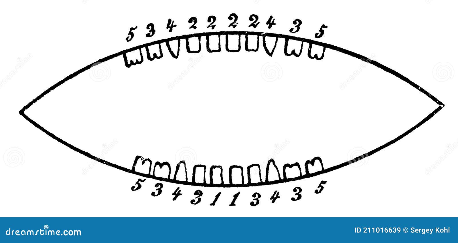 Scheme of the First Notch. According To Bogel Stock Illustration ...