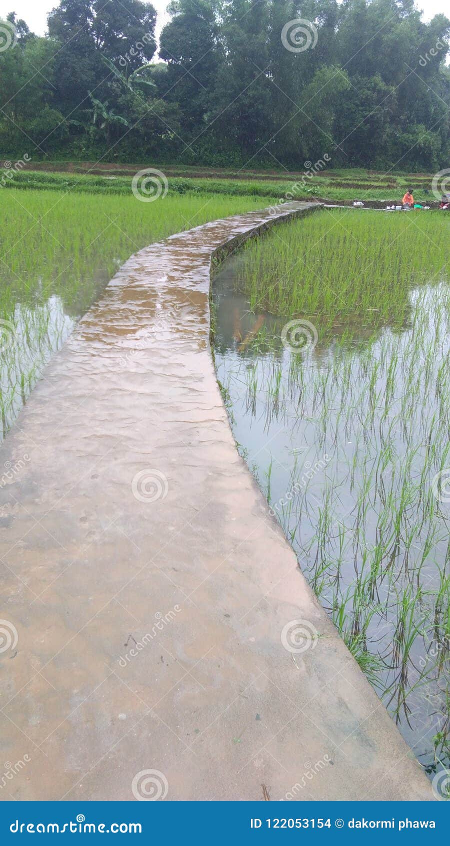 Foothpath Stock Photos - Download 785 Royalty Free Photos