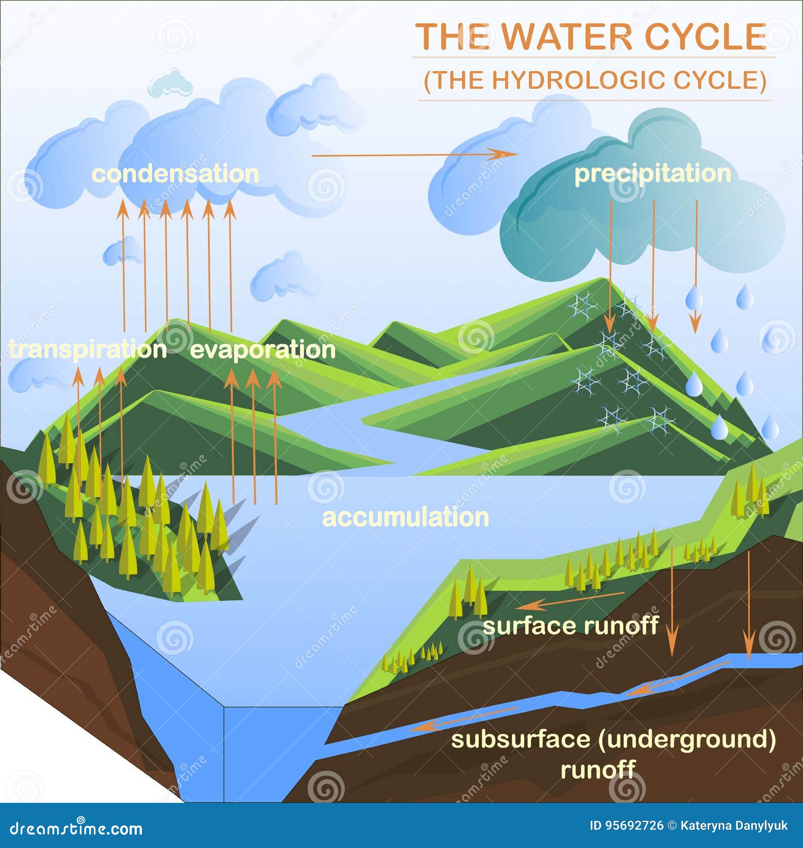 Scheme of the Water Cycle, Flats Design Vector Illustration Stock ...