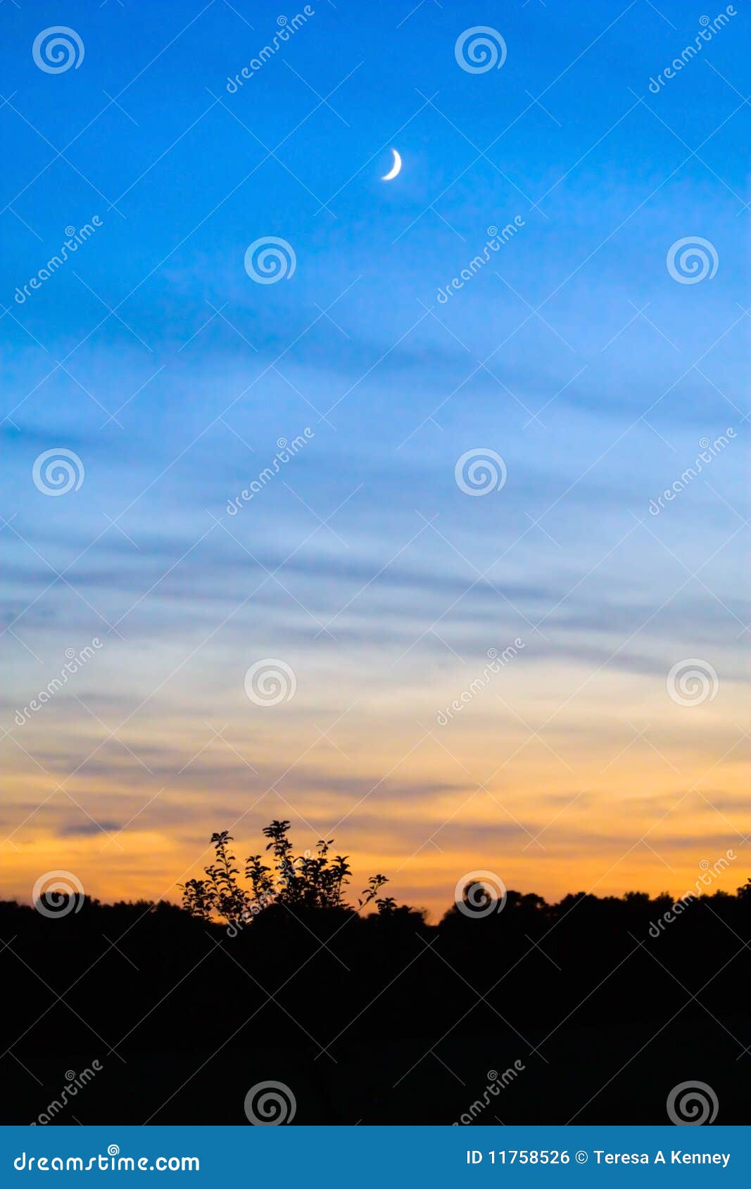 Schemer in Schemering stock foto. Image of zonsondergang - 11758526