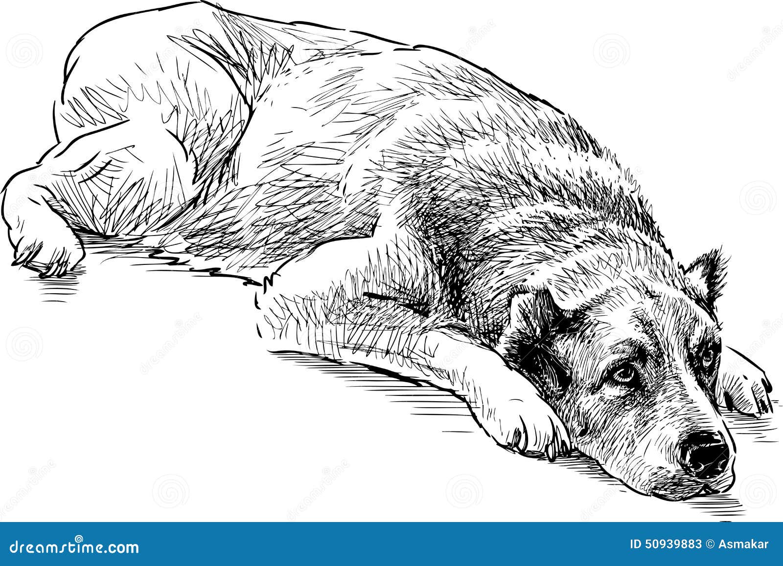 Schets Van Een Het Liggen Hond Vector Illustratie - Illustration of ...