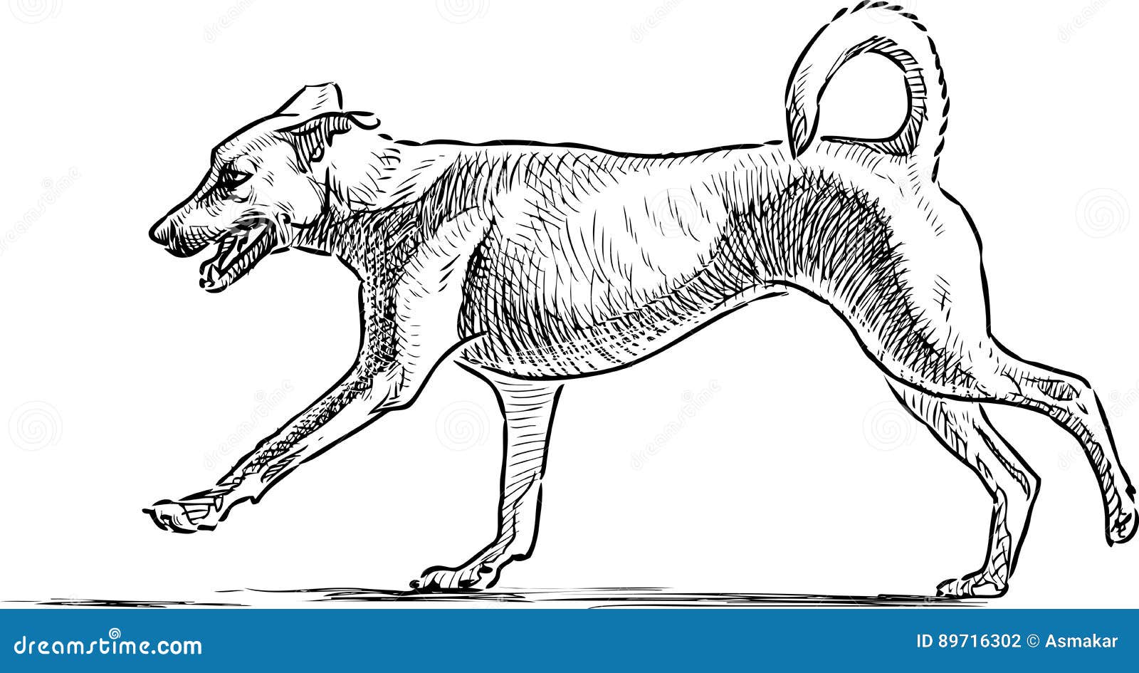 Schets Van Een Lopende Hond Vector Illustratie - Illustration of ...