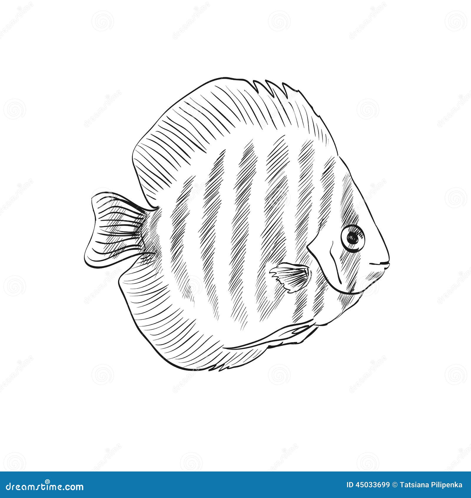 Schets van een vis vector illustratie. Illustration of zwart - 45033699