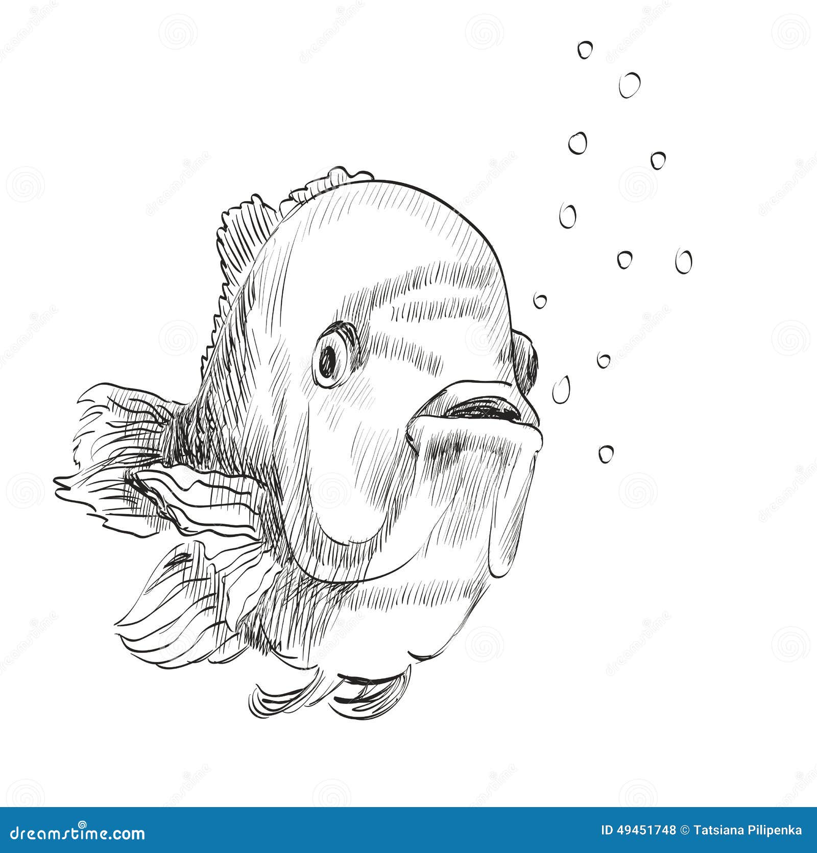 Schets van een vis vector illustratie. Illustration of tekening - 49451748