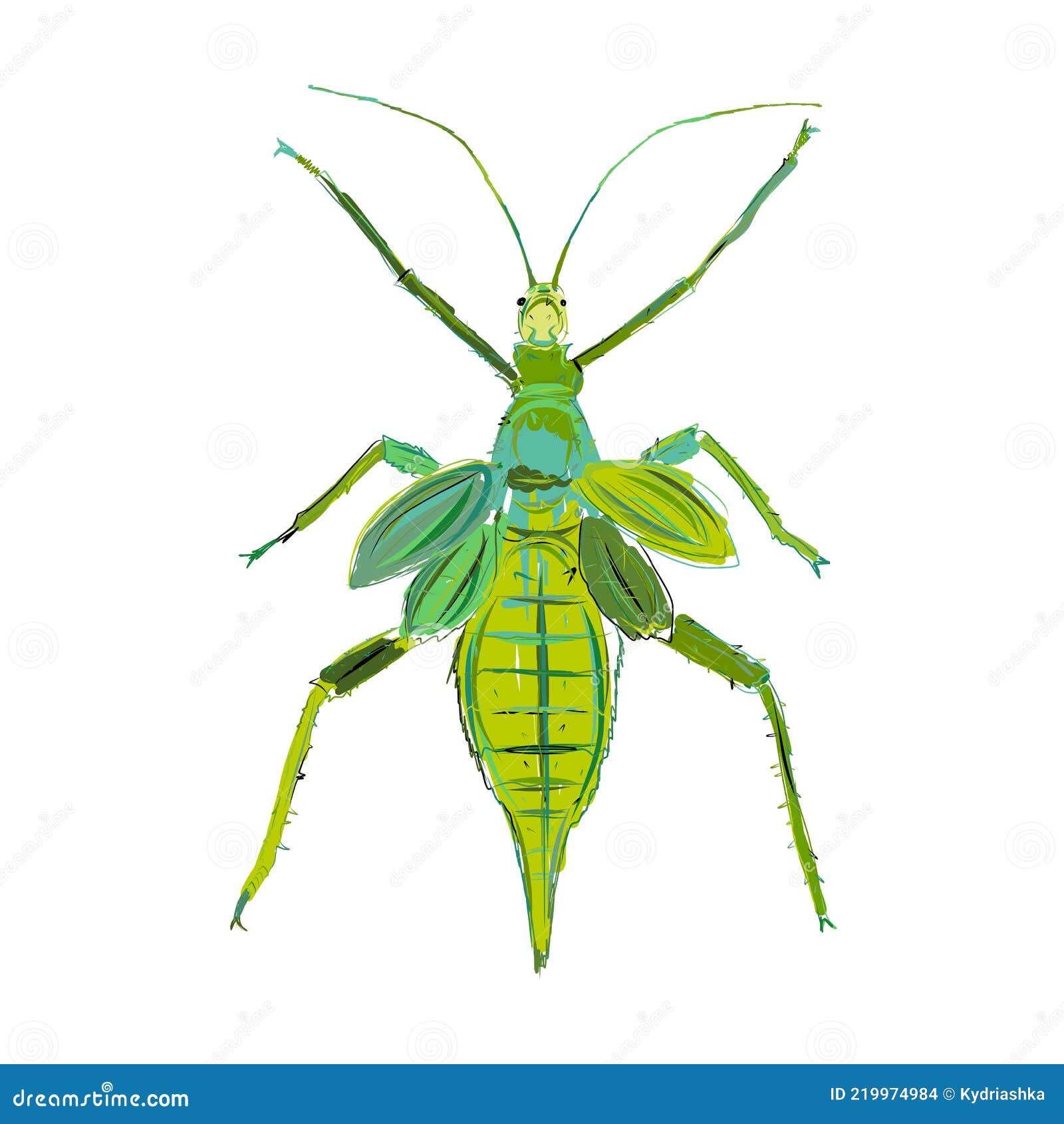 Schets Van Groene Insecten. Geïsoleerd Op Wit Vector Illustratie ...