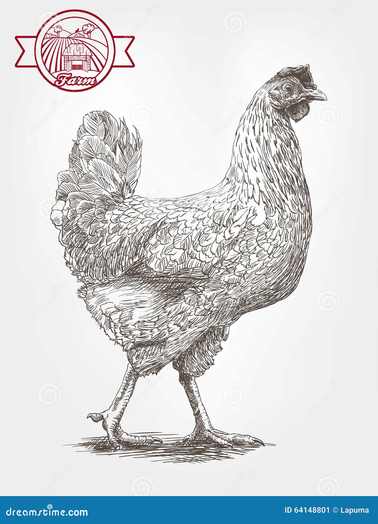 Schets van kroost-kip vector illustratie. Illustration of zaken - 64148801