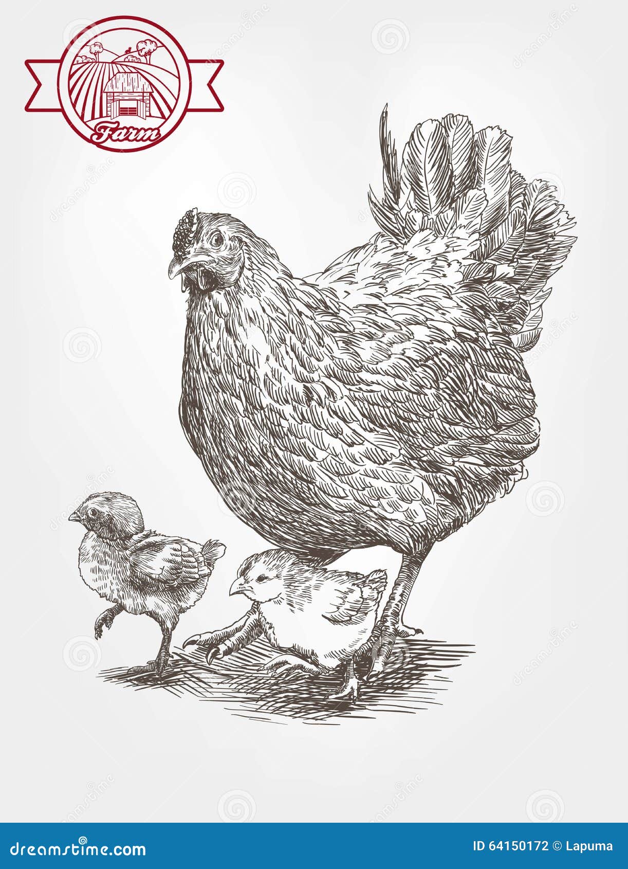 Schets van kroost-kip vector illustratie. Illustration of kuiken - 64150172