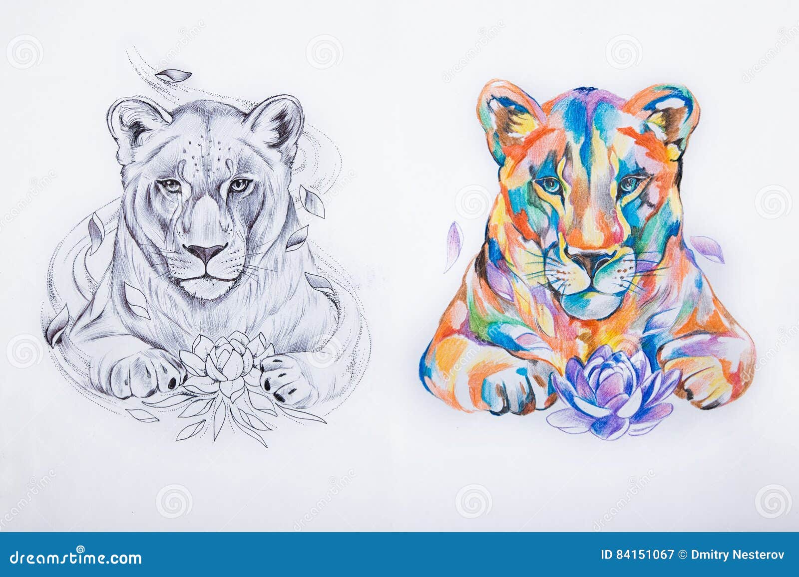 Schets Van Twee Leeuwen Op Een Witte Achtergrond Stock Illustratie ...