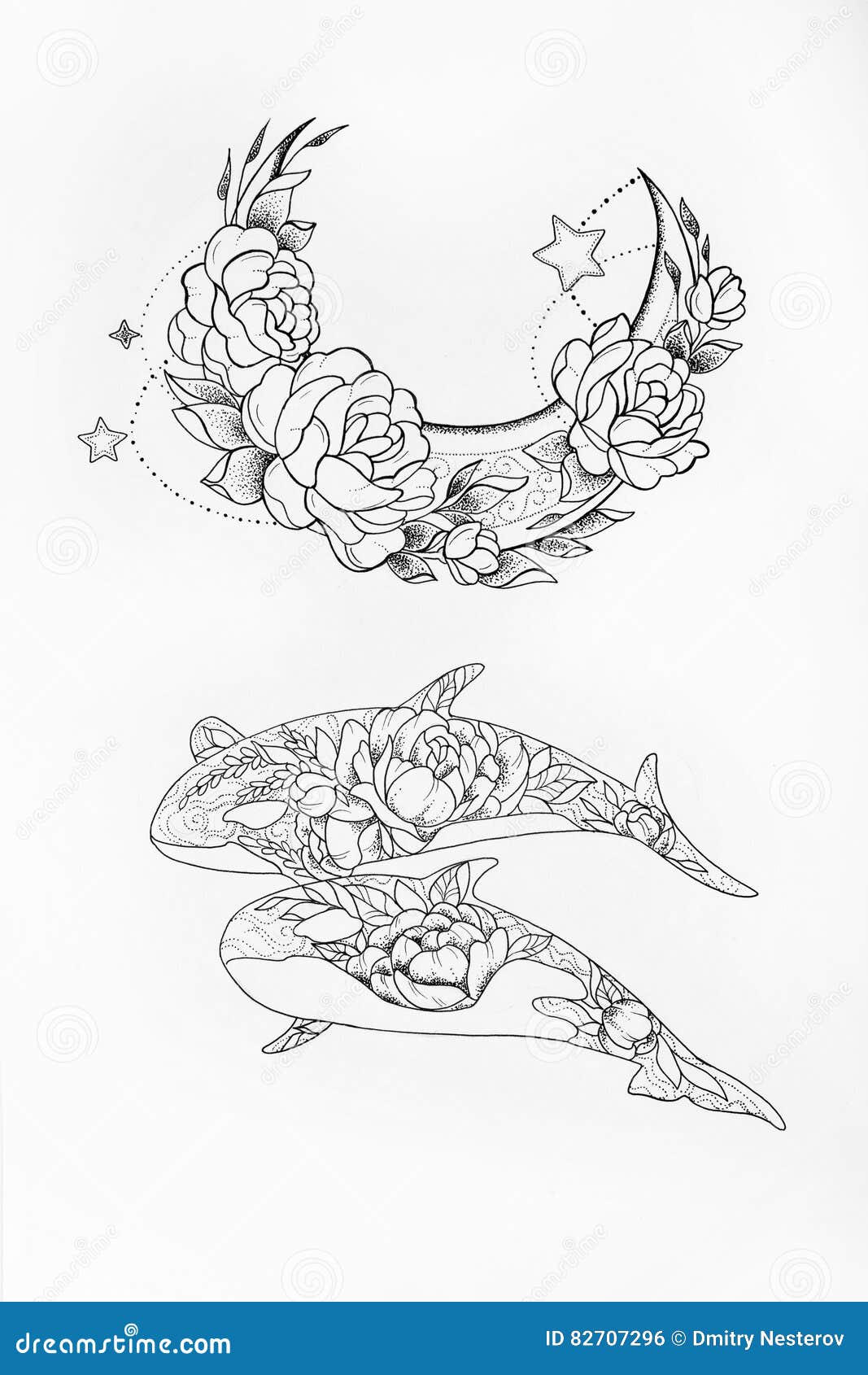 Schets Van Twee Orka's En Maan Op Witte Achtergrond Stock Illustratie ...