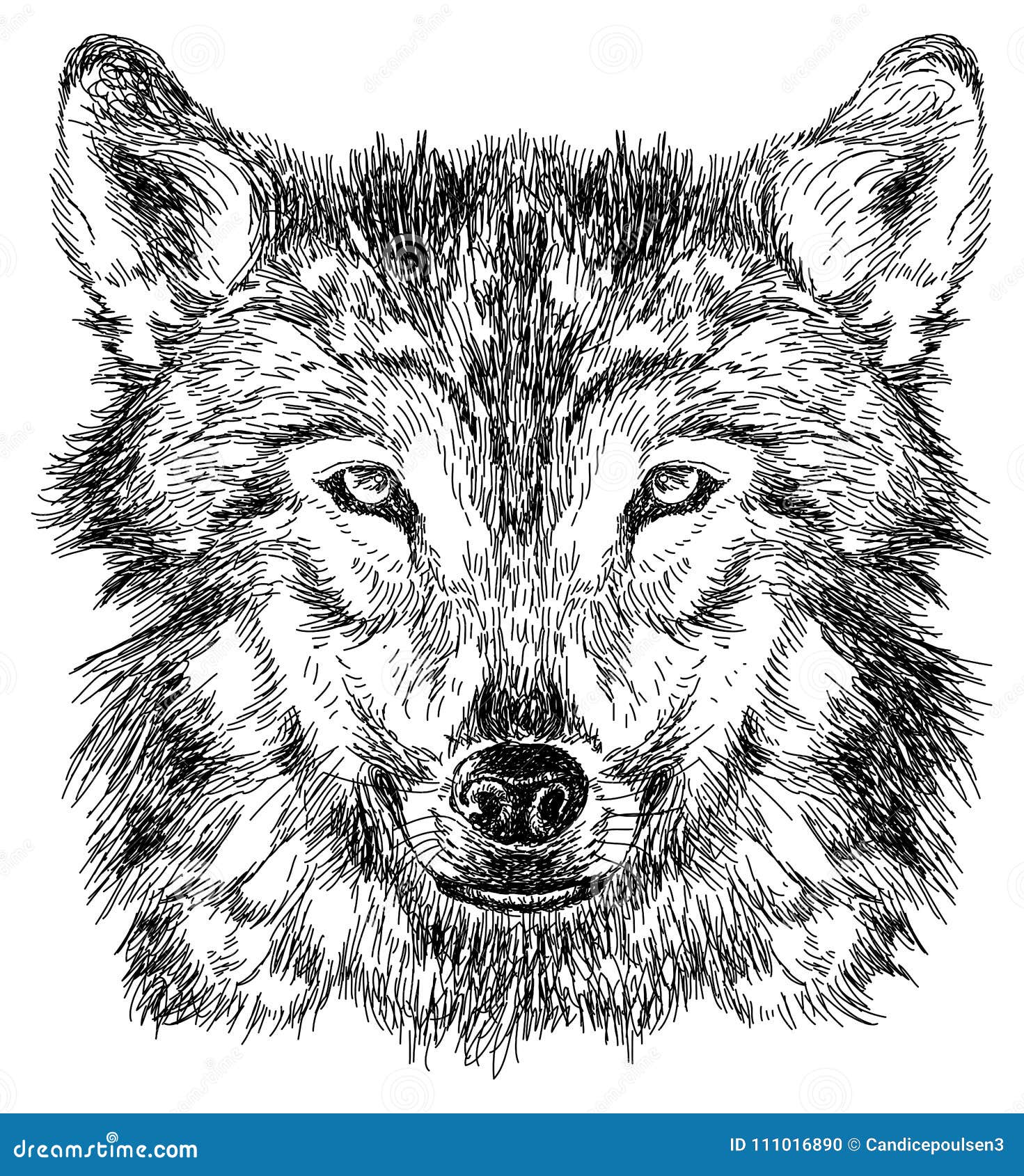 Schets van wolf vector illustratie. Illustration of tekeningen - 111016890