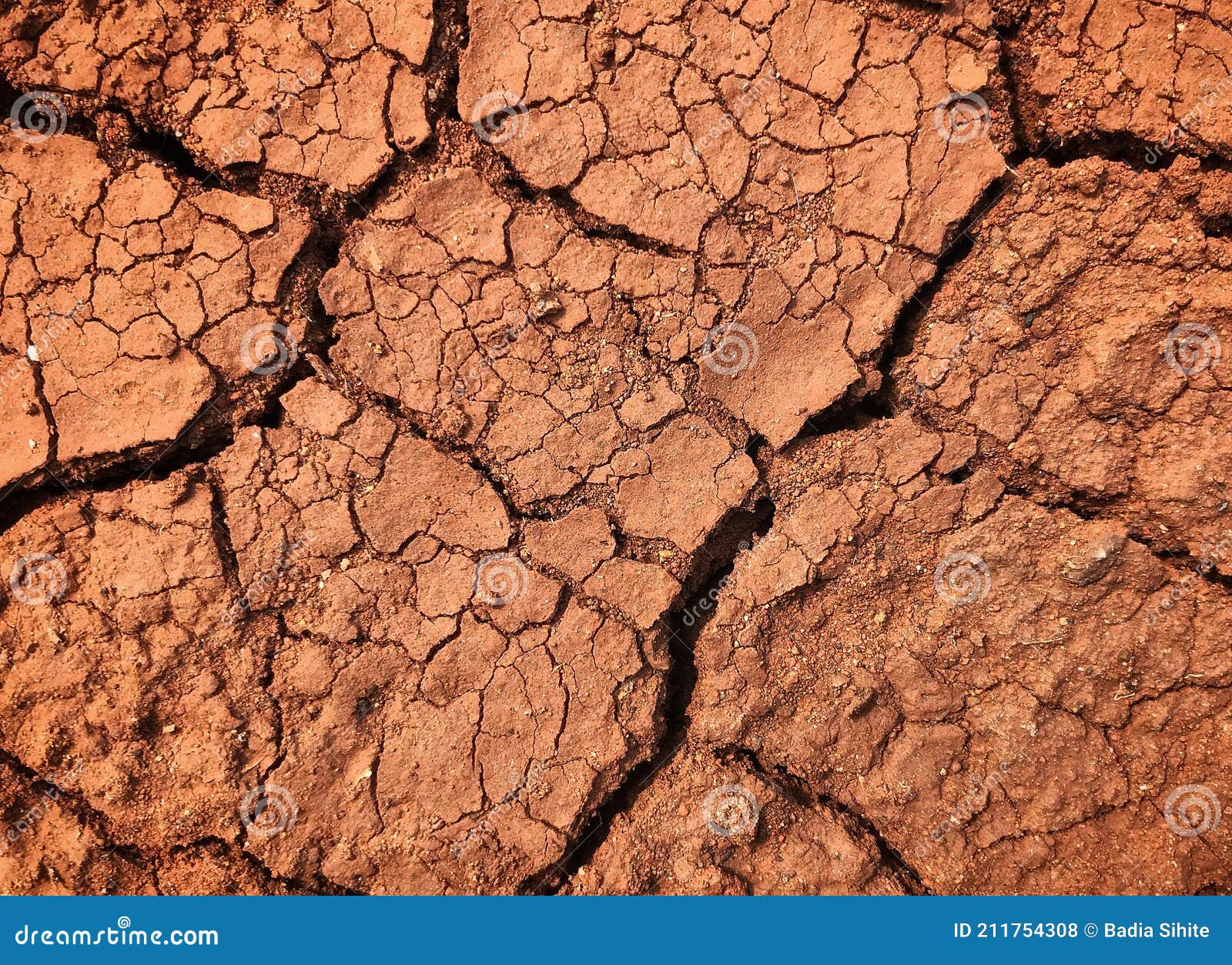 Scheuren in de grond stock foto. Image of grond, barsten - 211754308 Scheuren in de grond stock foto. Image of grond, barsten - 211754308