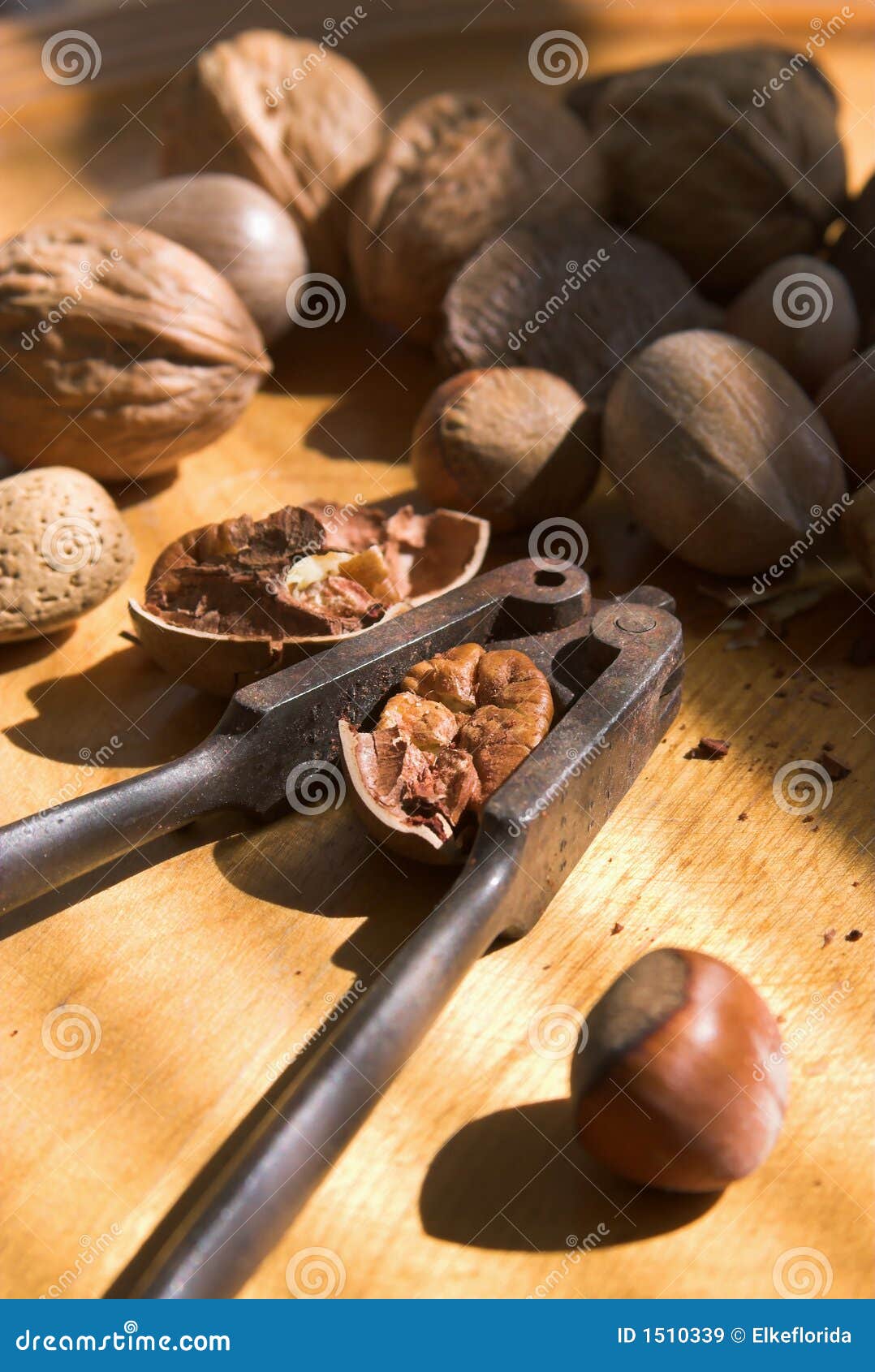 Schiaccianoci con le noci immagine stock. Immagine di cracker - 1510339