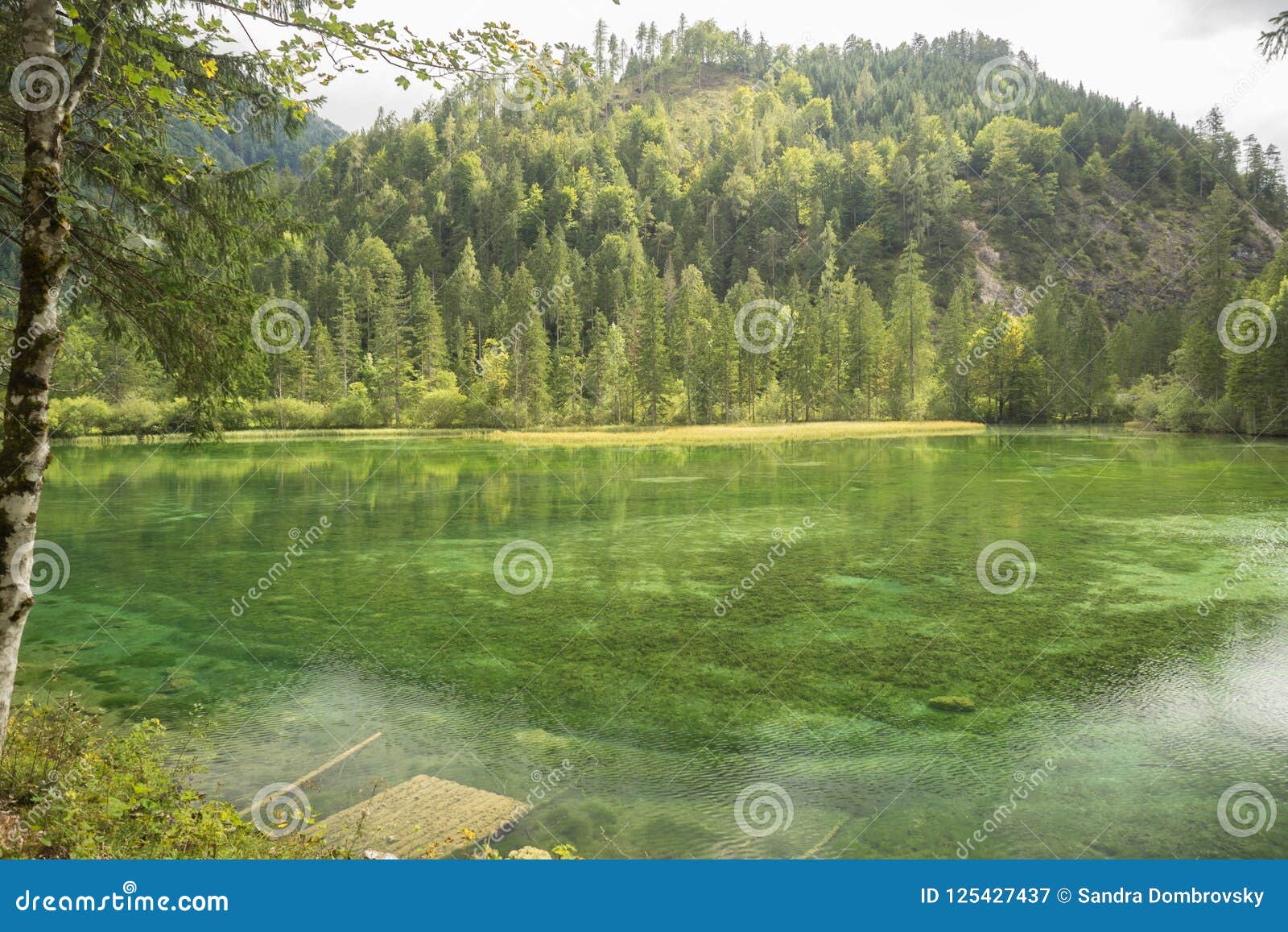Schiederweiher, Beautiful Lake in Austria Near Hinterstoder Stock Image ...