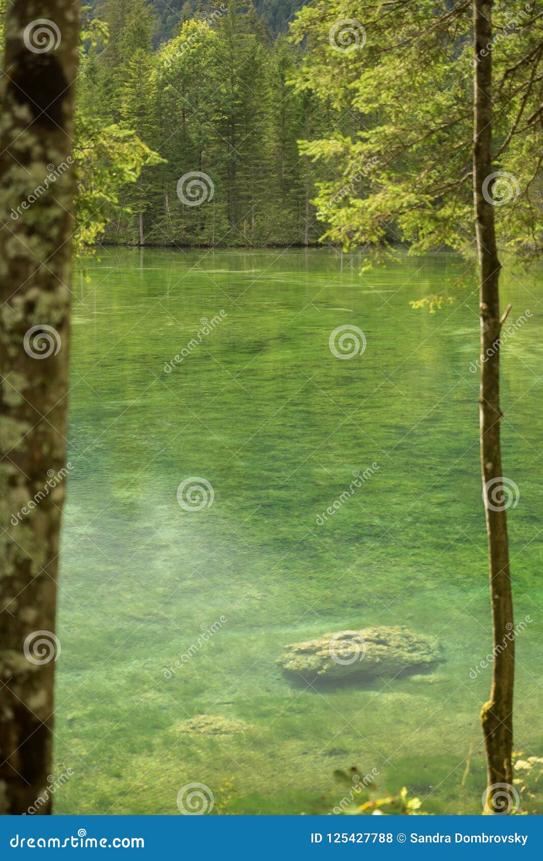 Schiederweiher, Beautiful Lake in Austria Near Hinterstoder Stock Photo ...