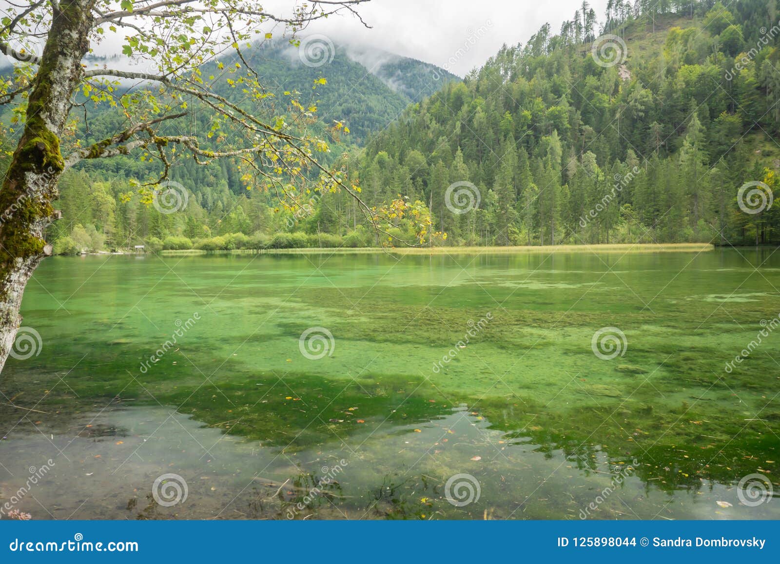 Schiederweiher, Beautiful Lake in Austria Near Hinterstoder Stock Photo ...