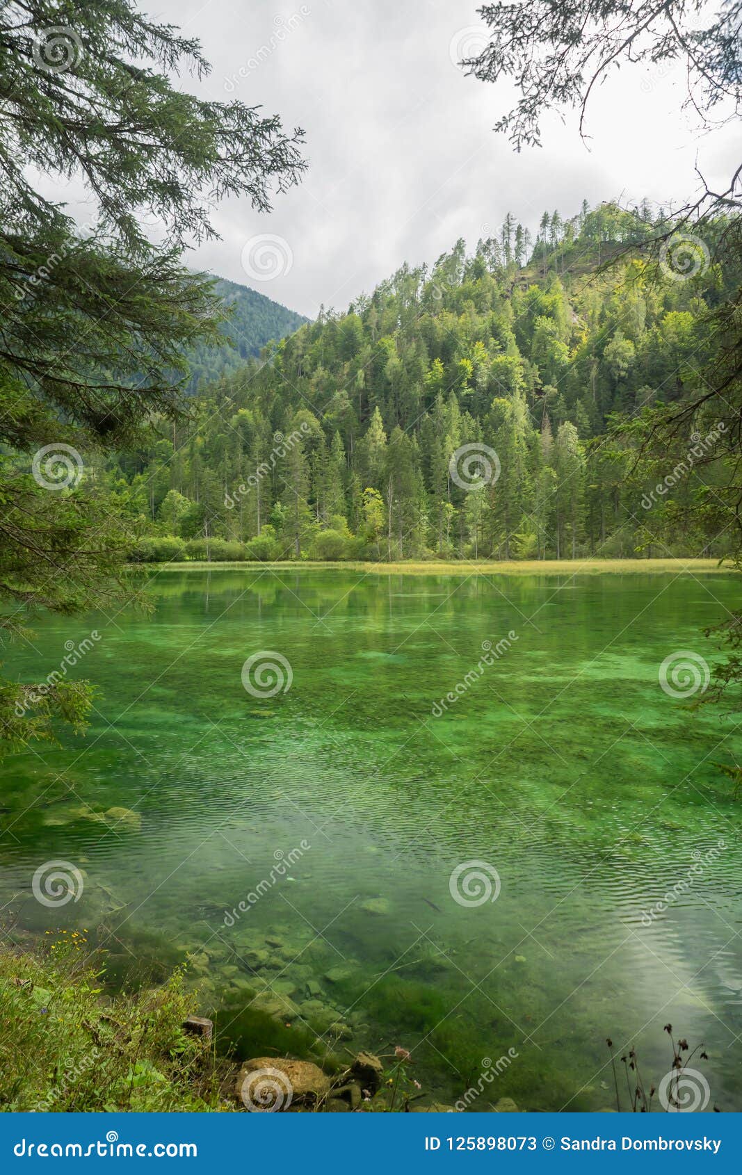Schiederweiher, Beautiful Lake in Austria Near Hinterstoder Stock Image ...