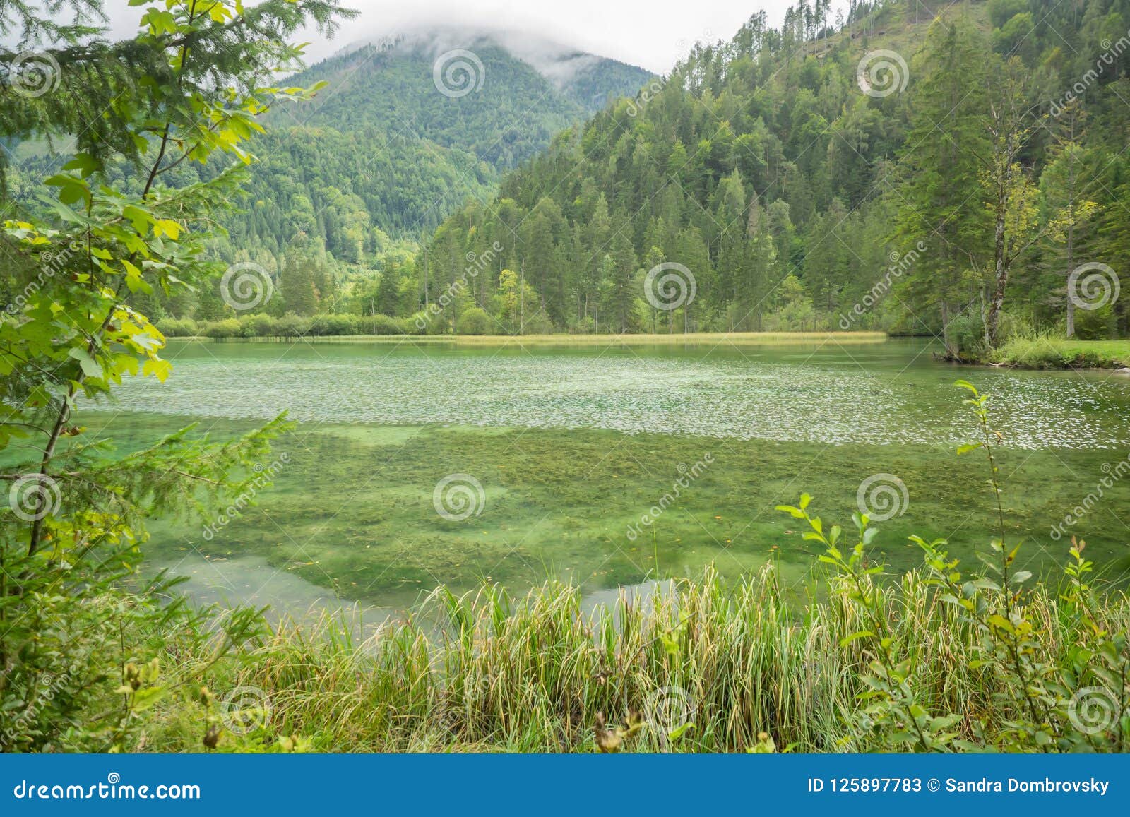 Schiederweiher, Beautiful Lake in Austria Near Hinterstoder Stock Image ...