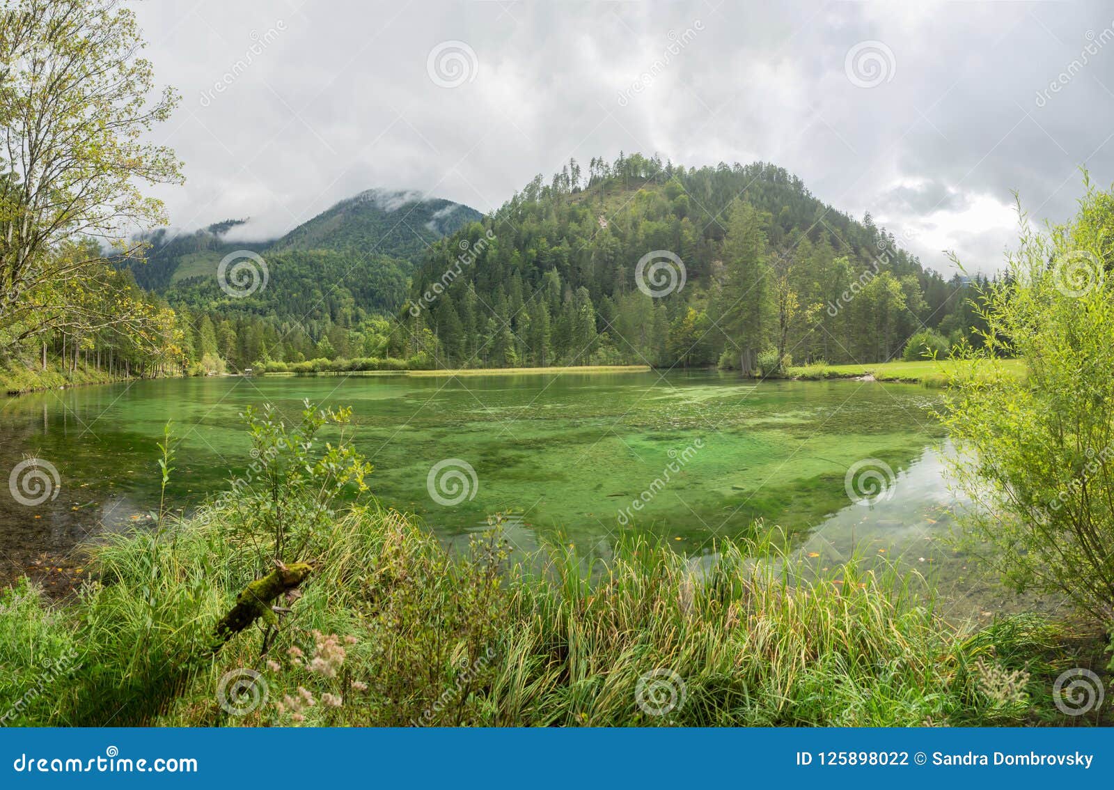 Schiederweiher, Beautiful Lake in Austria Near Hinterstoder Stock Photo ...