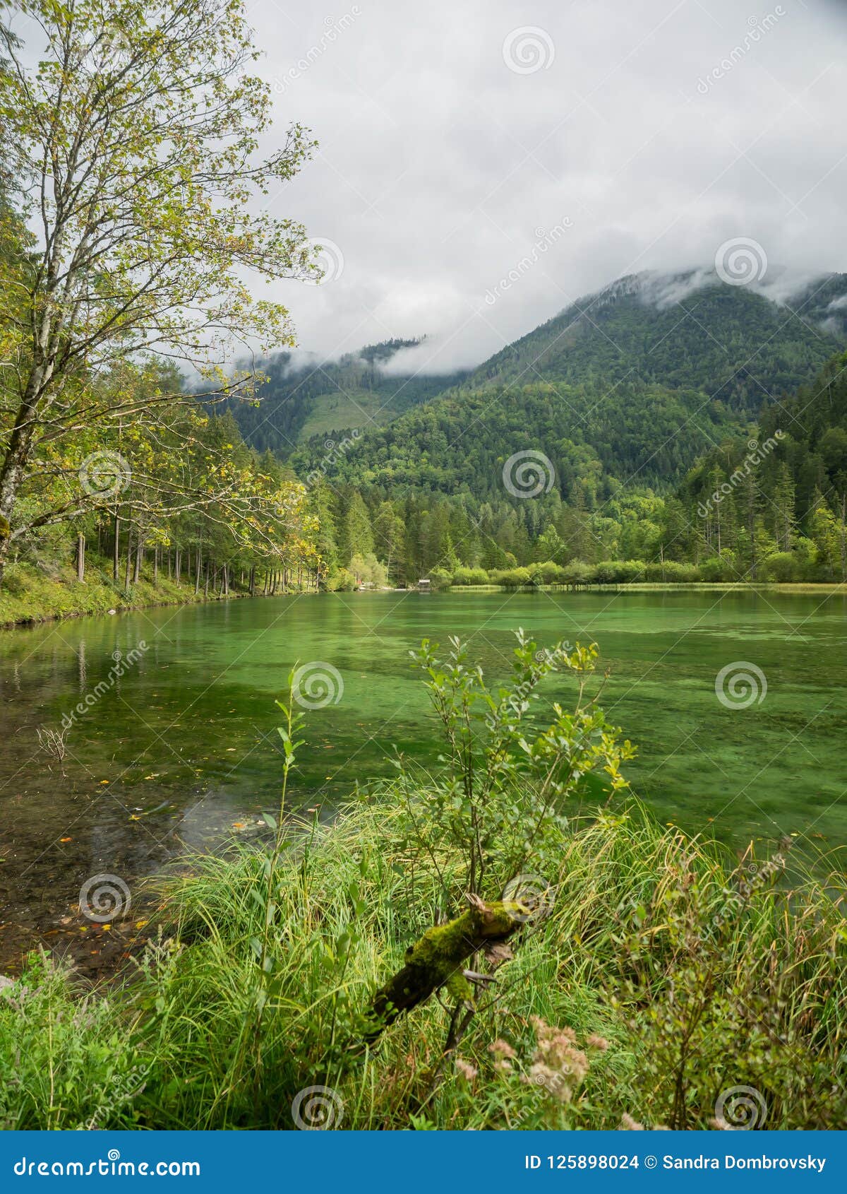 Schiederweiher, Beautiful Lake in Austria Near Hinterstoder Stock Photo ...