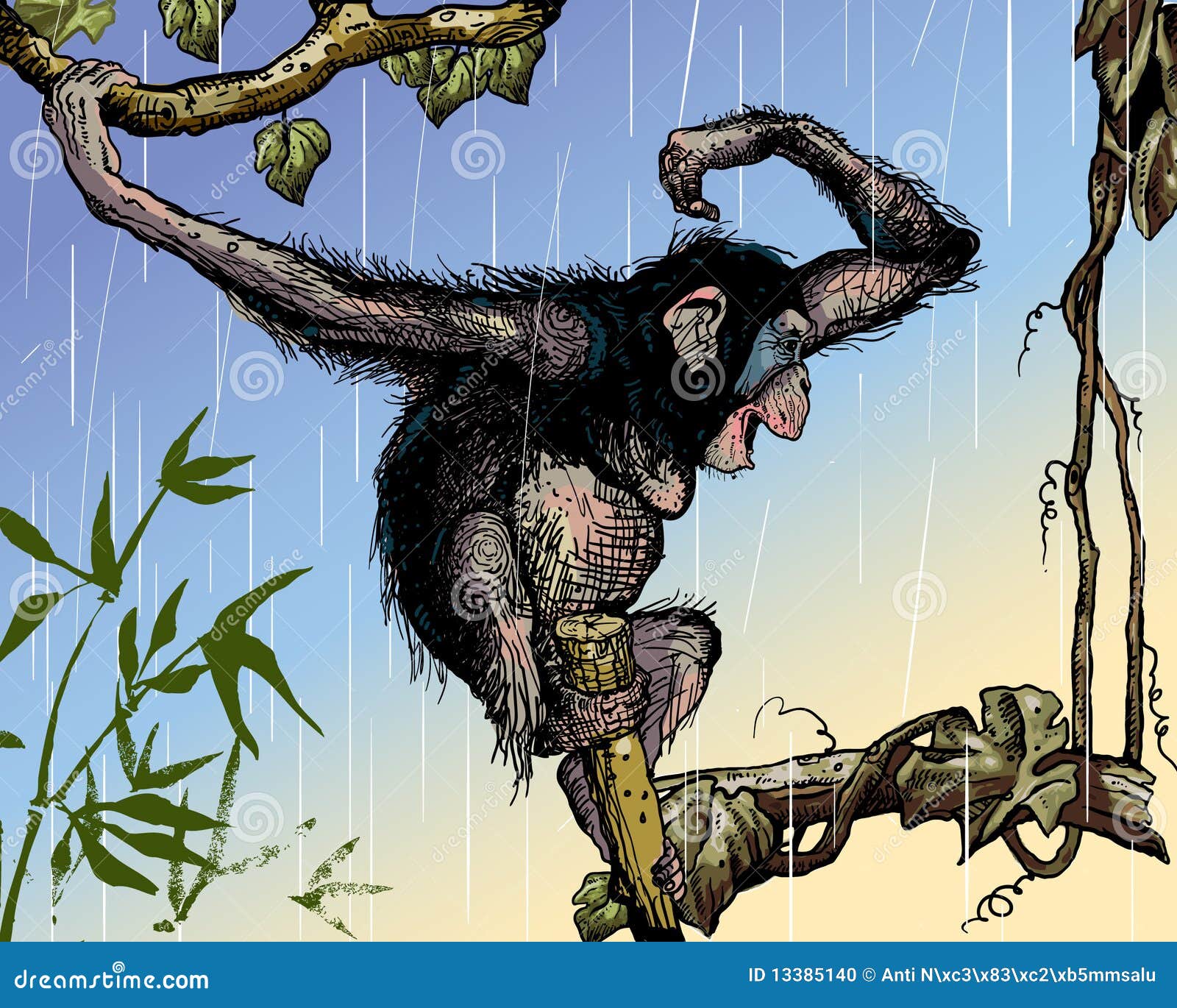 Schimpans Stock Illustrationer, Vektorer, & Clipart – (13,102 Stock ...