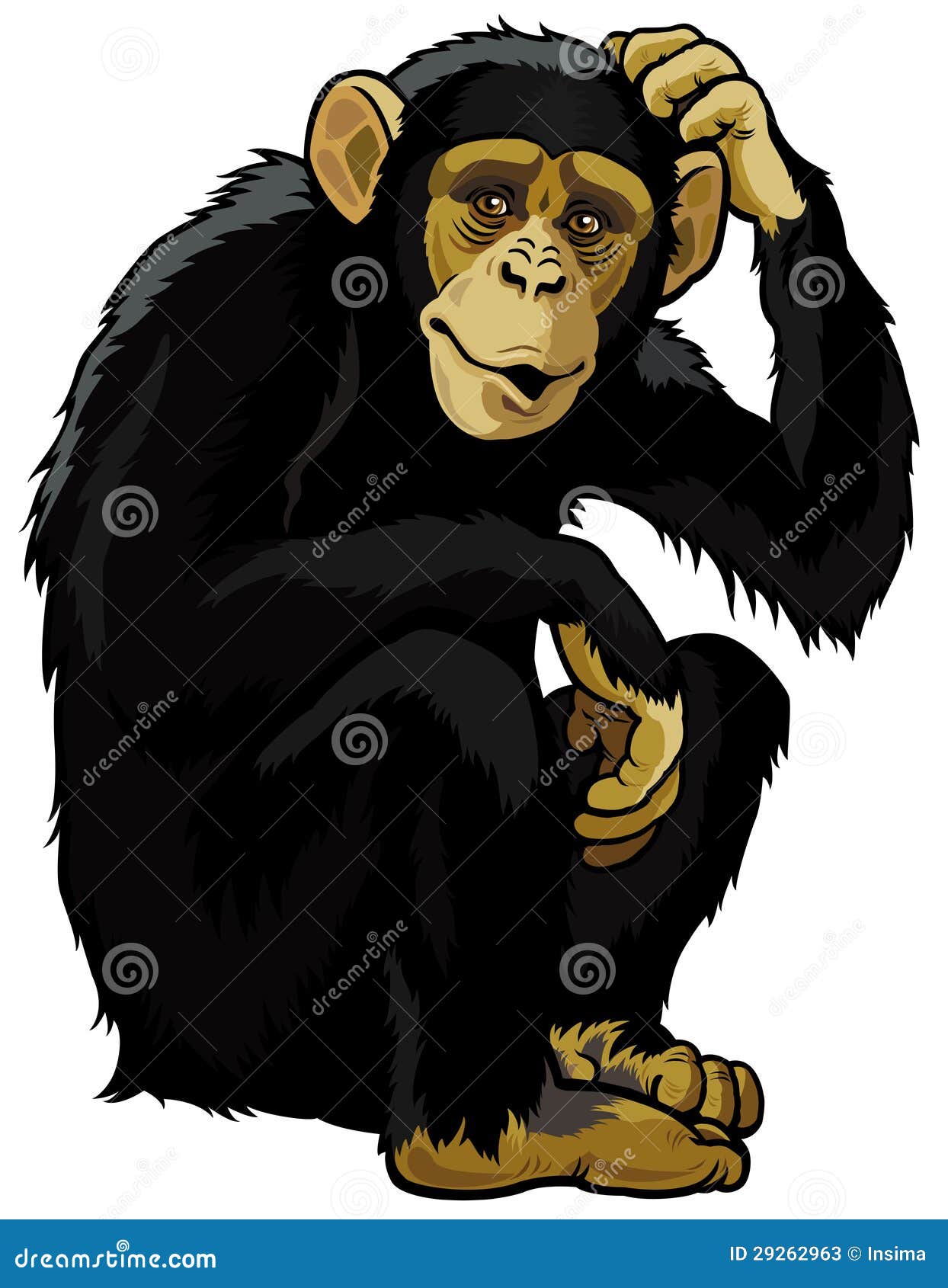 Schimpans Stock Illustrationer, Vektorer, & Clipart – (20,071 Stock ...