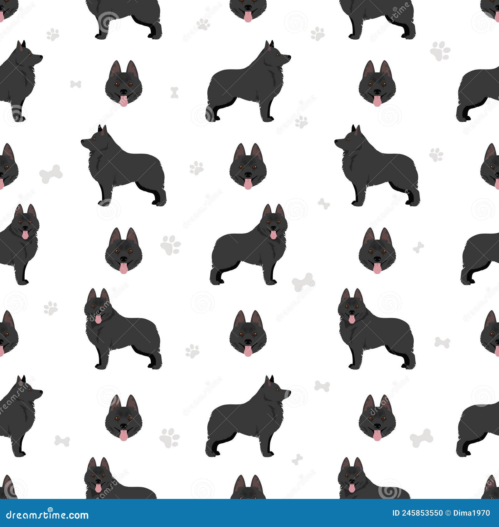 Schipperke Seamless Pattern. Different Poses, Coat Colors Set Stock ...