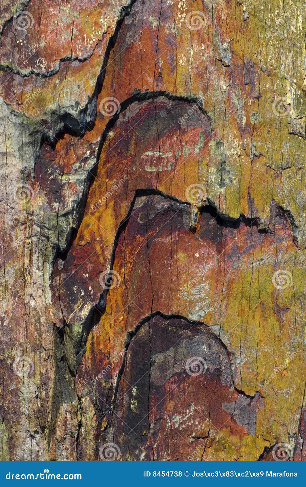 Schist stock photo. Image of frame, brick, lines, macro - 8454738