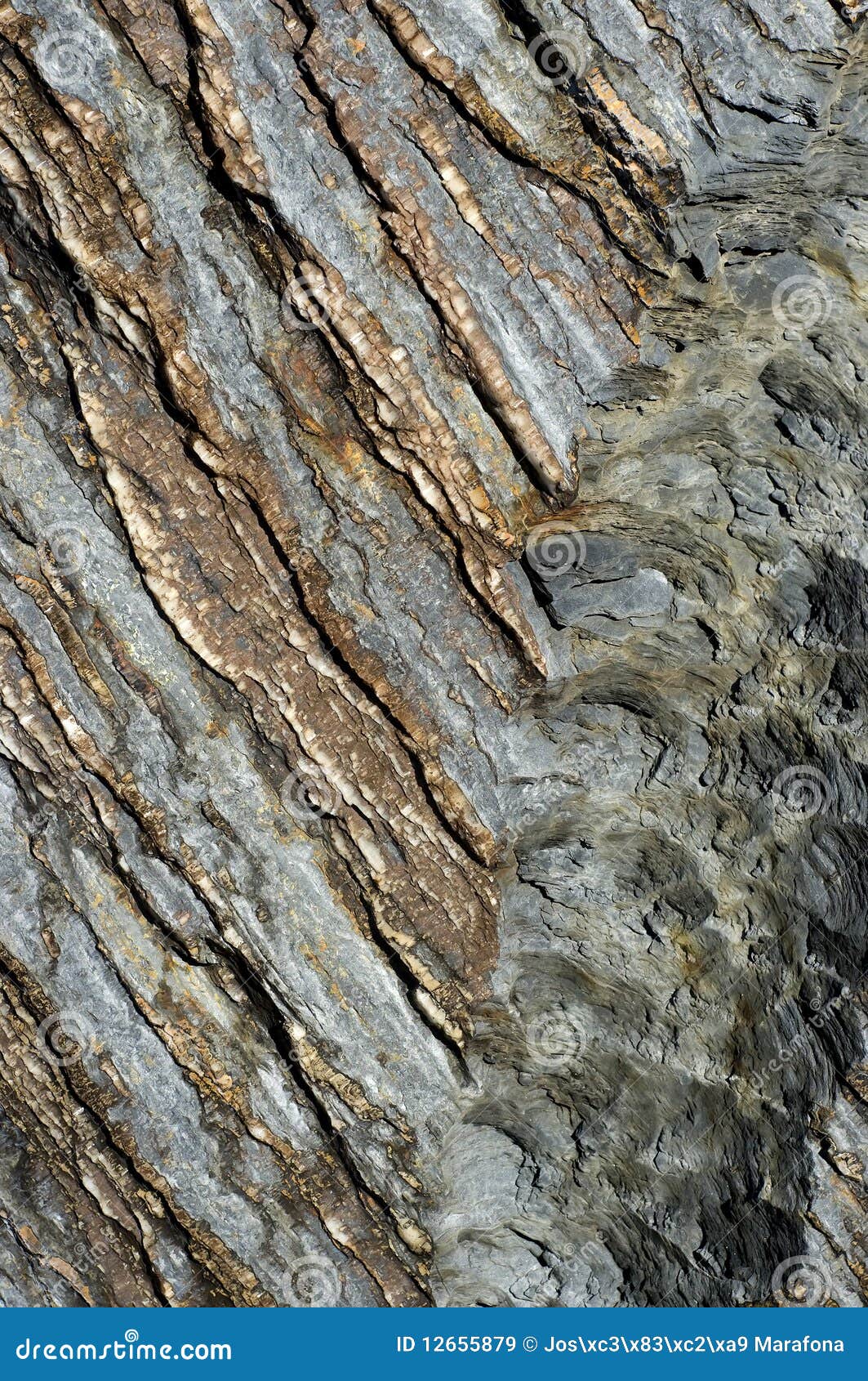 Schiste image stock. Image du gris, fond, trame, géologie - 12655879