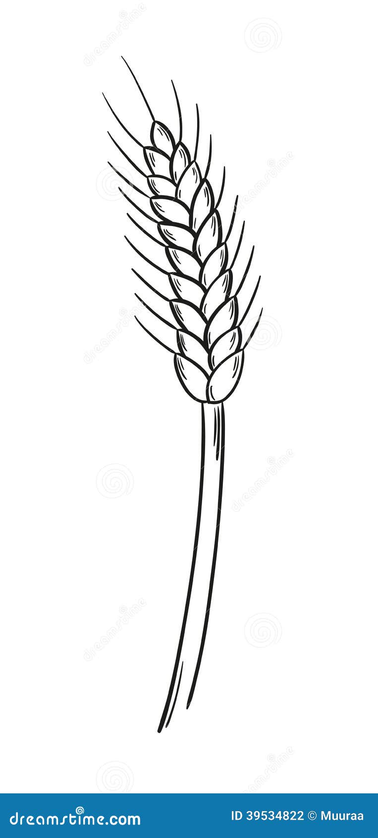 Schizzo dell'orzo illustrazione vettoriale. Illustrazione di naughty ...