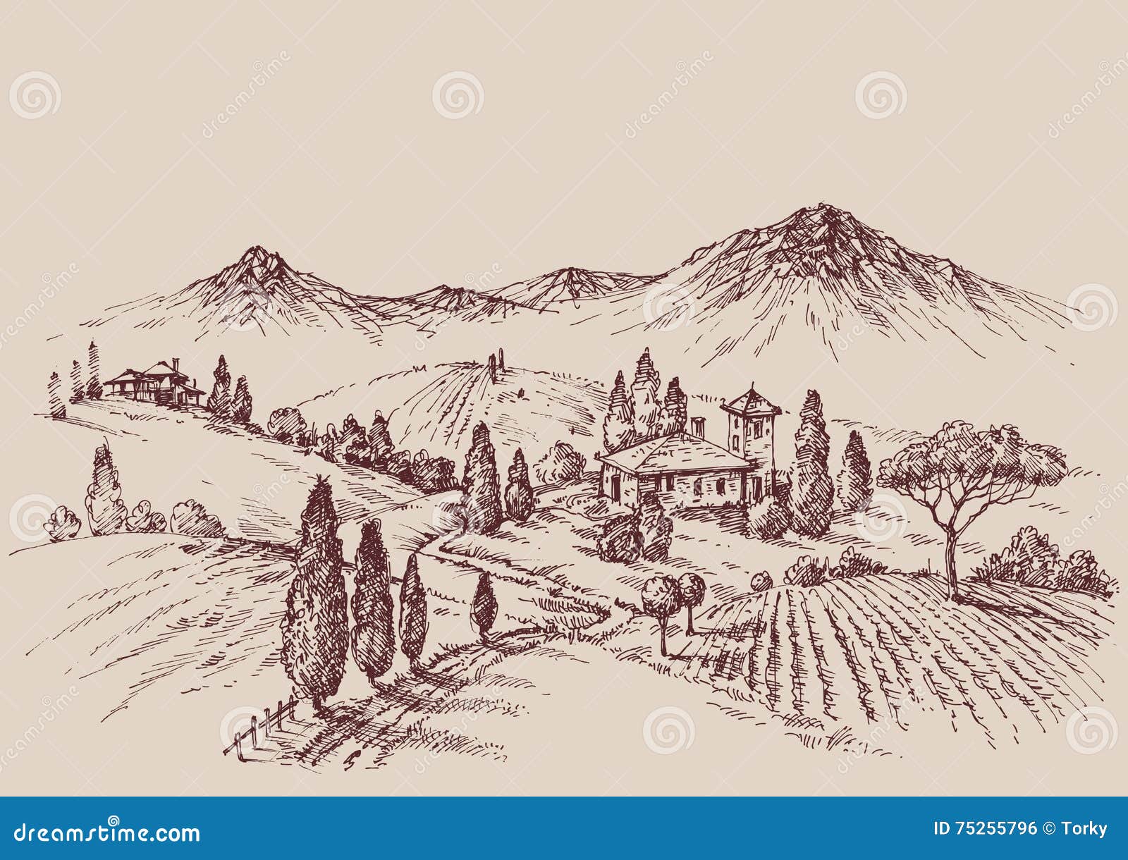 Schizzo della vigna illustrazione vettoriale. Illustrazione di podere ...