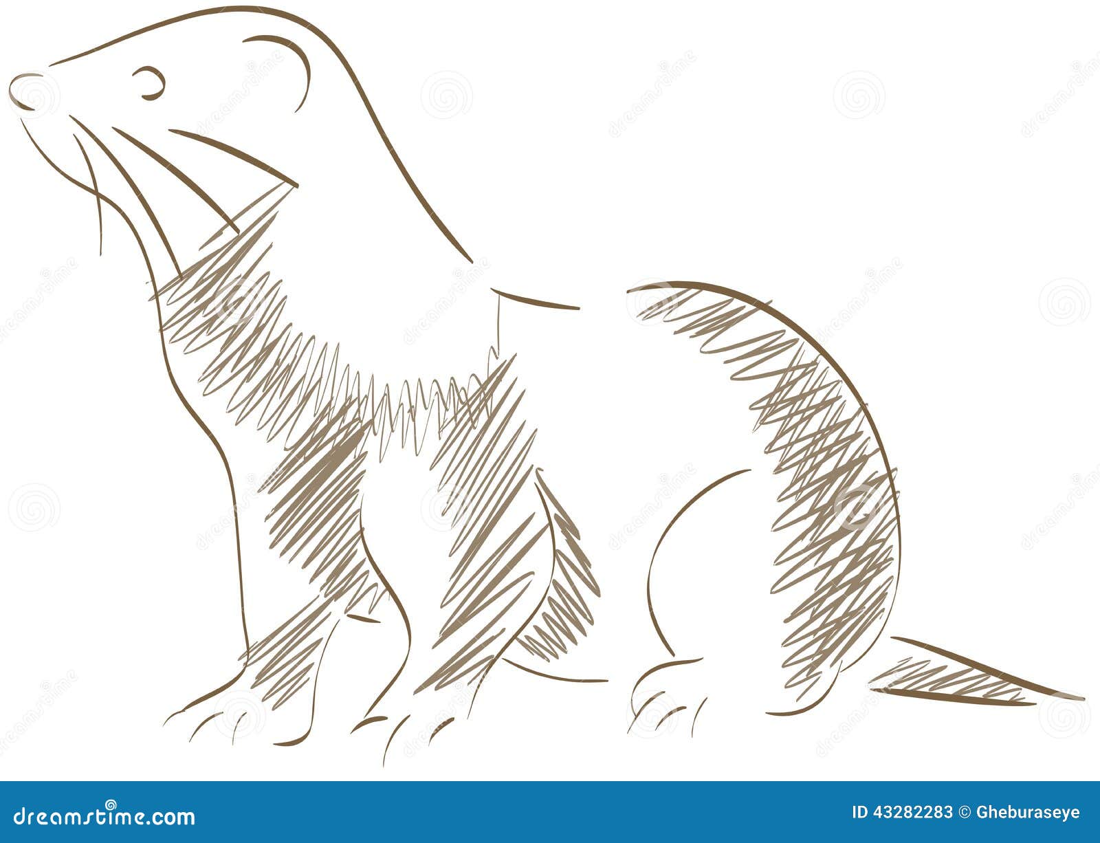 Schizzo Di Un Furetto Stilyzed Illustrazione di Stock - Illustrazione ...