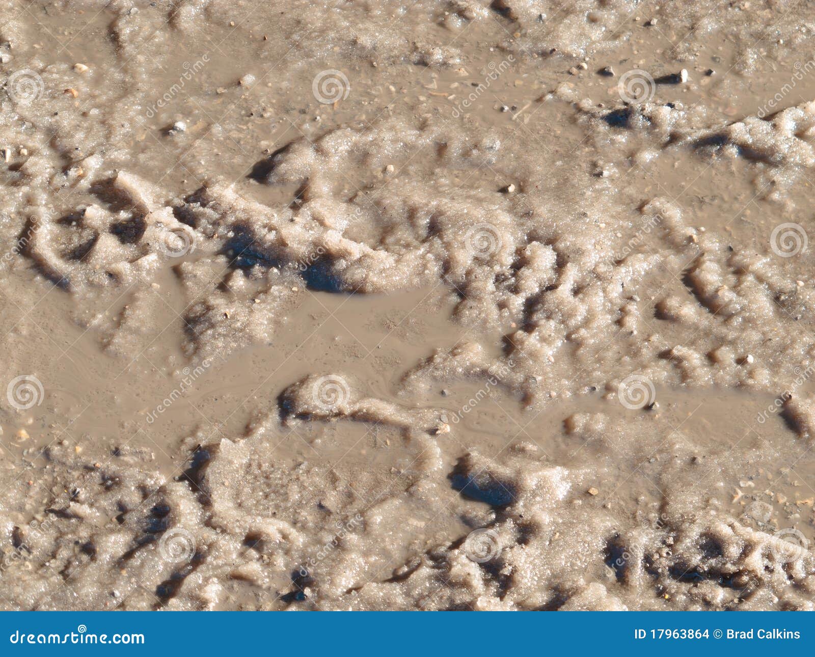 Schlamm stockfoto. Bild von auftauen, winter, tauwetter - 17963864