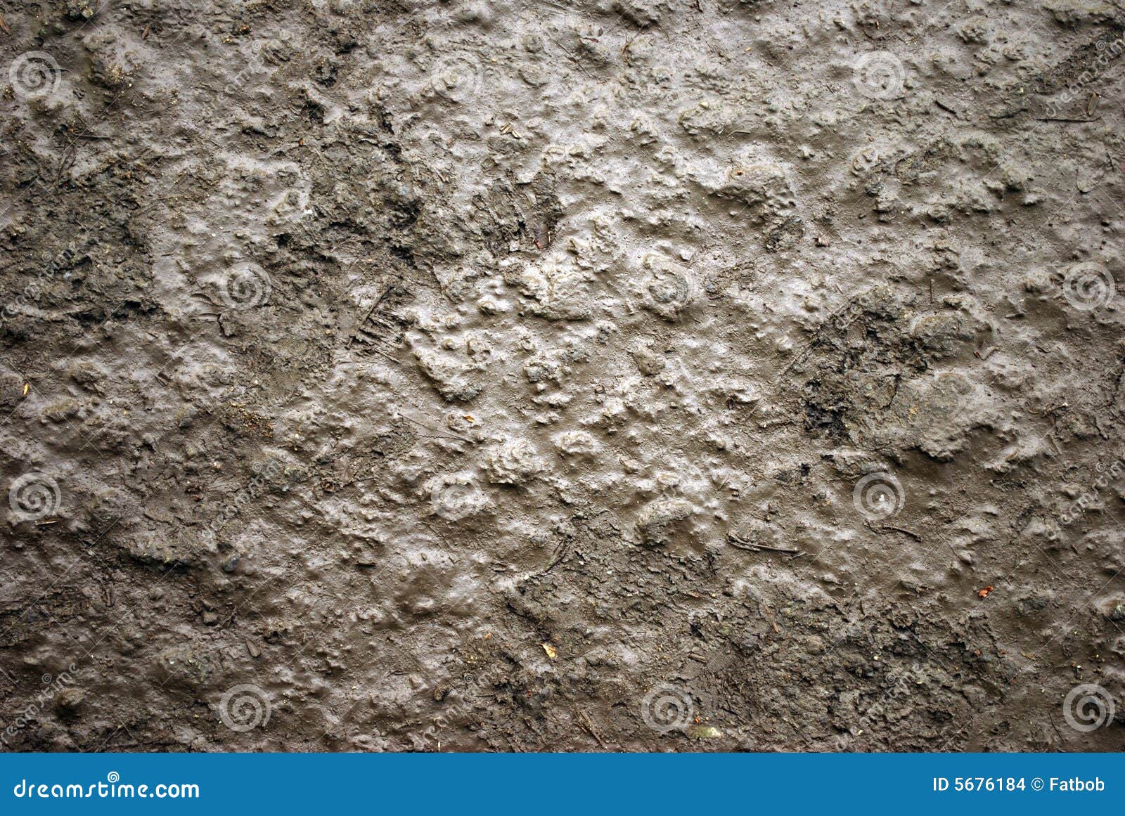 Schlamm stockfoto. Bild von schlammig, beschaffenheit - 5676184