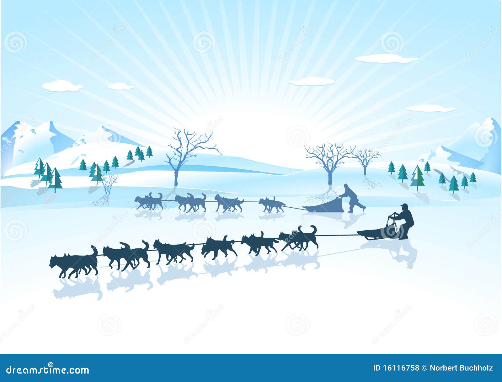 Schlittenhundschlittenhund vektor abbildung. Illustration von mushing ...