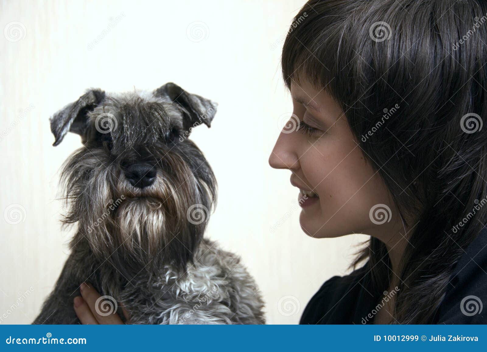 Schnauzer and its owner stock image. Image of girl, lifestyle - 10012999