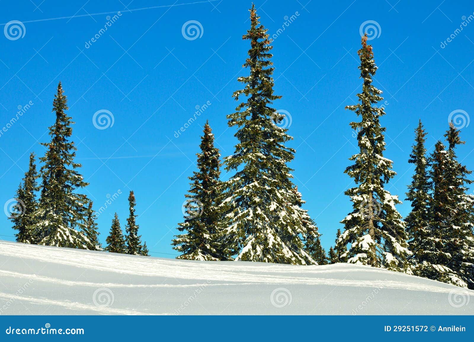 Schneeberg, Austria, Winter Scene Stock Photo - Image of countryside ...