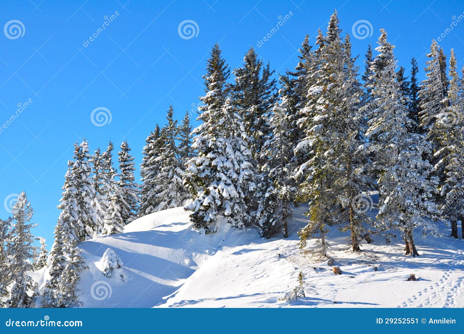 Schneeberg, Austria, Winter Scene Stock Image - Image of country ...
