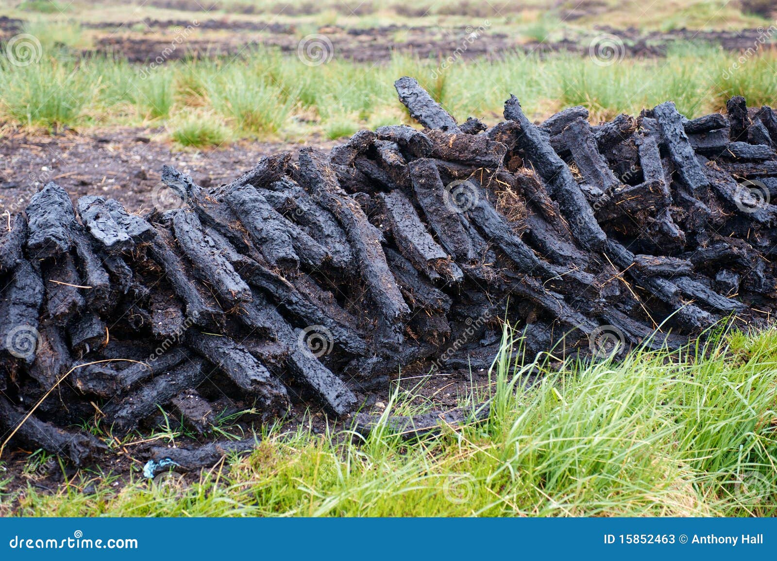 Schneiden Sie Torf-Stapel Irland Stockbild - Bild von moos, brikett ...