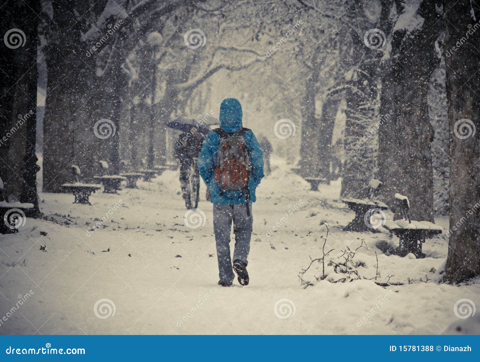 Schneien stockfoto. Bild von regenschirm, winter, schneien - 15781388