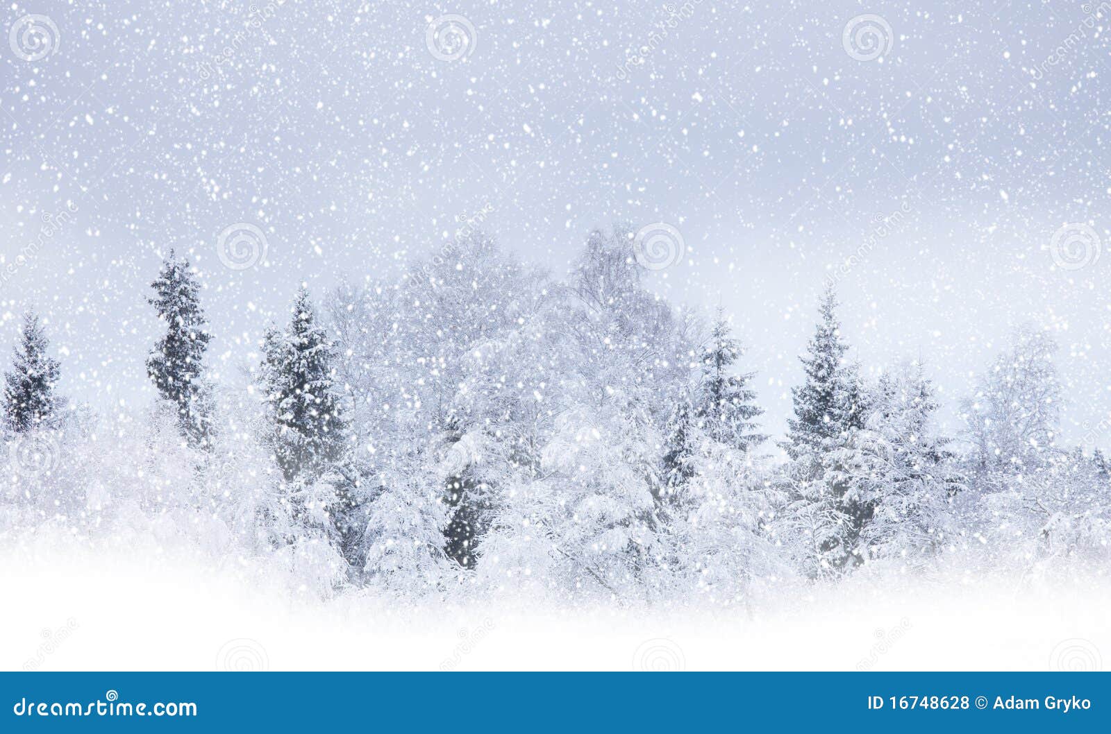 Schneien stockfoto. Bild von frost, morgen, ruhe, kühl - 16748628