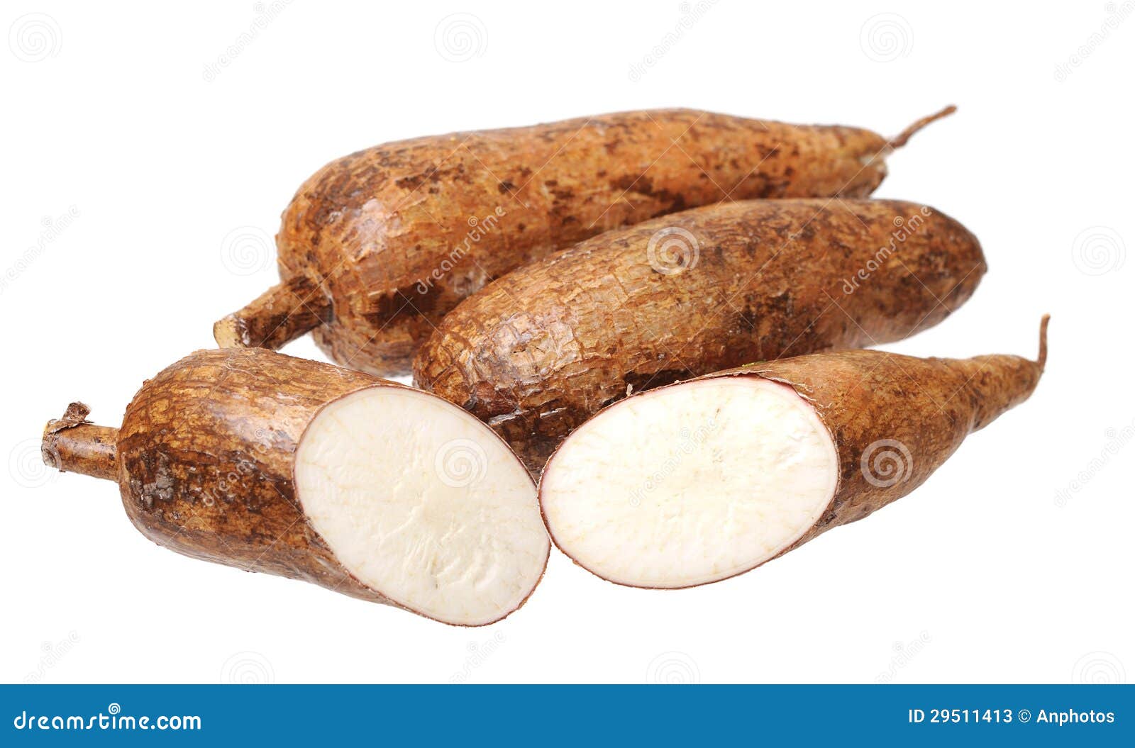 Schnitt und ganze Manioka stockbild. Bild von knötchenförmig - 29511413
